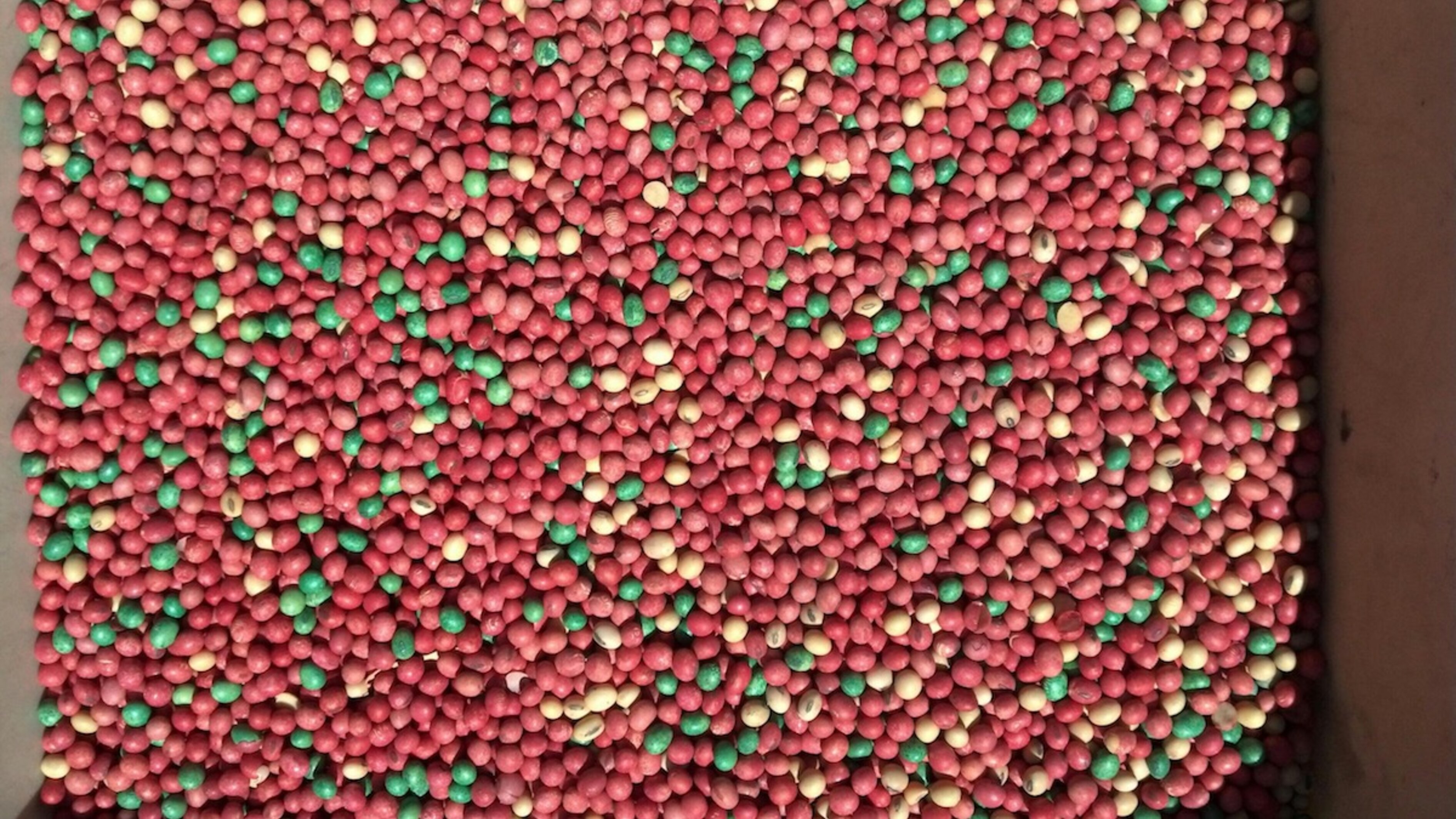 Safe Handling of Treated Seed | CropWatch | Nebraska