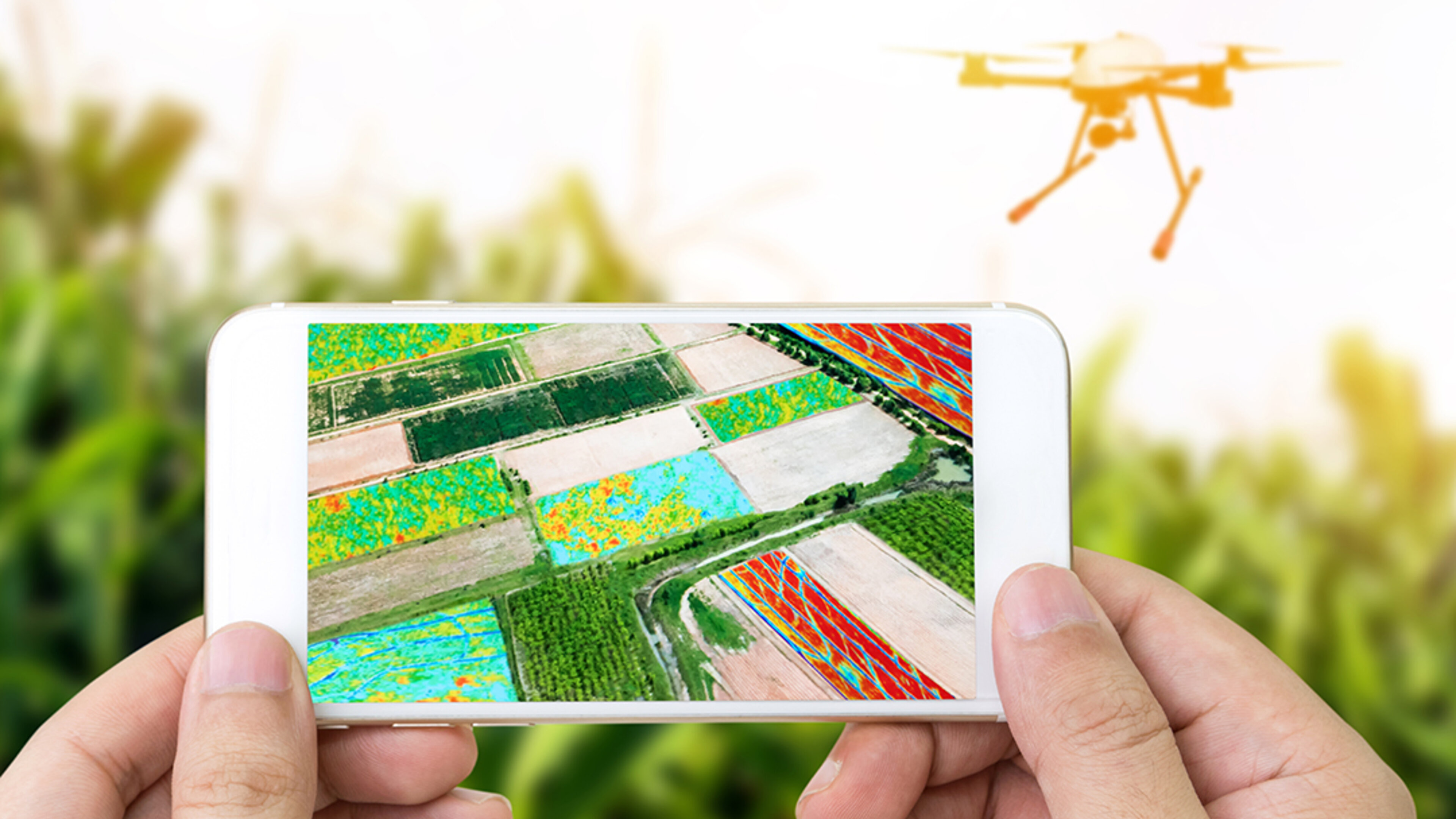 GIS Workshop: Discover How Spatial Thinking Shapes Our World ...