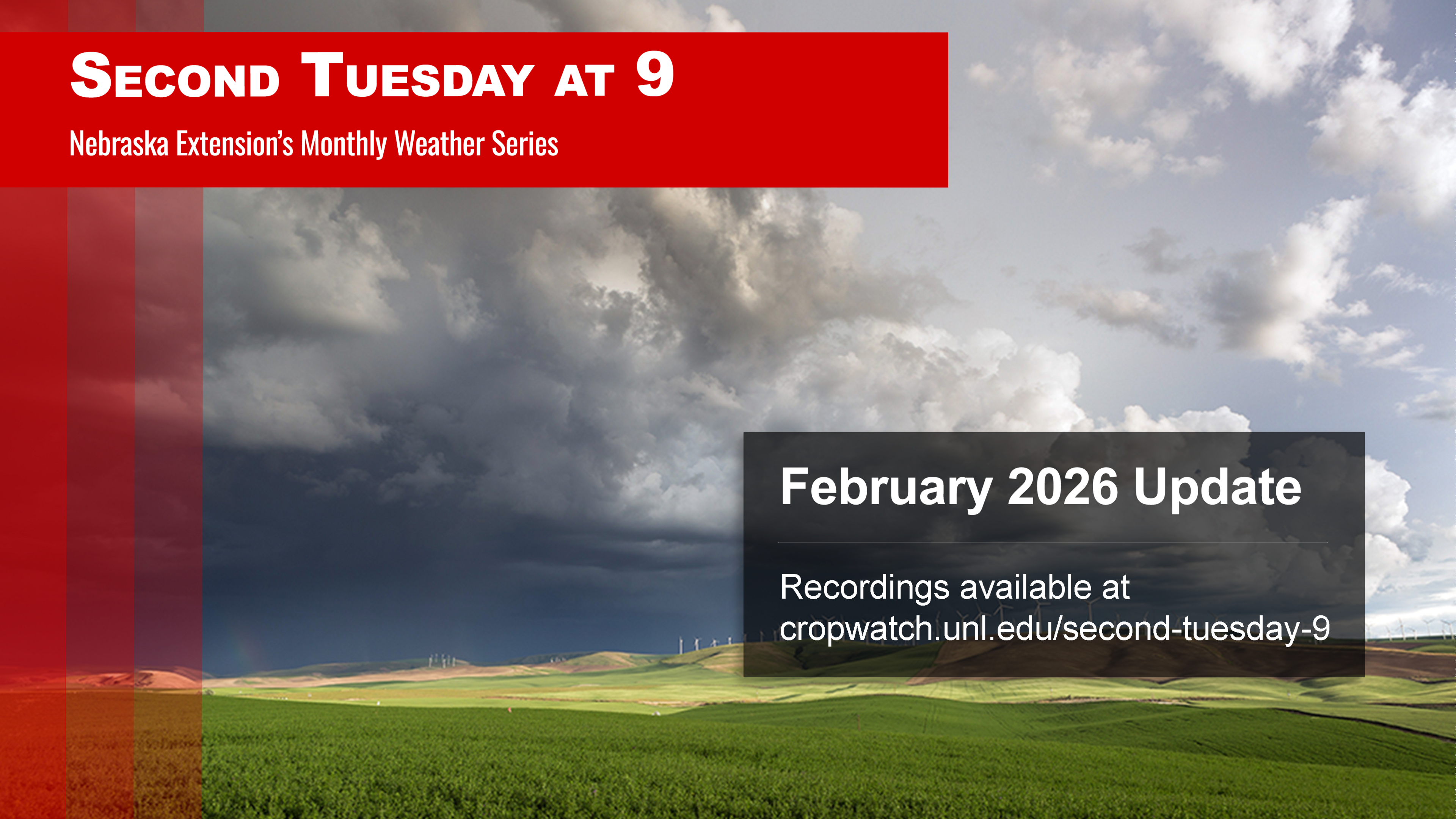USDA to Open General and Continuous CRP Enrollment for 2025 | CropWatch ...