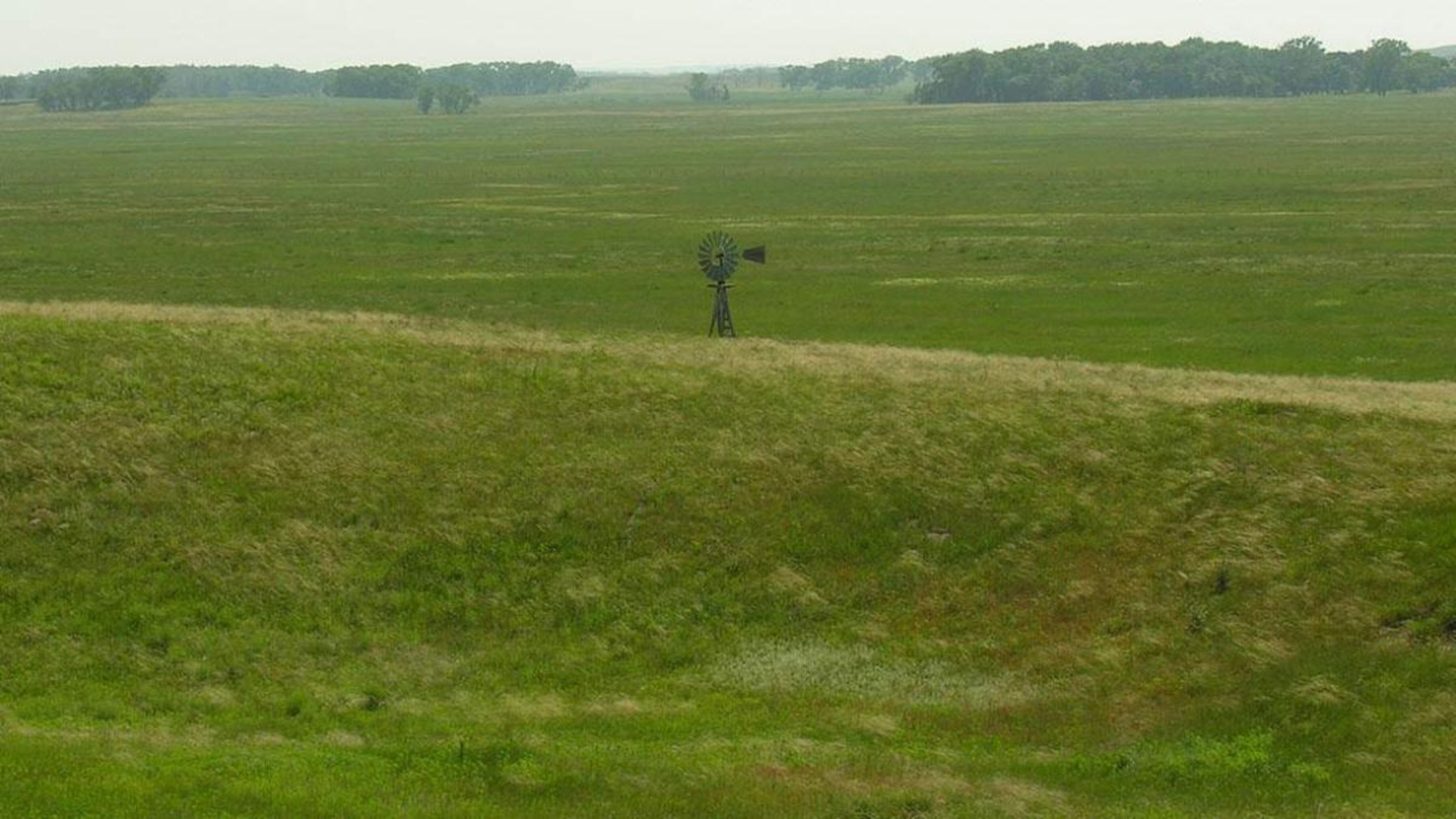 Center for Ag Profitability Collaborates on Sandhills Grassland ...