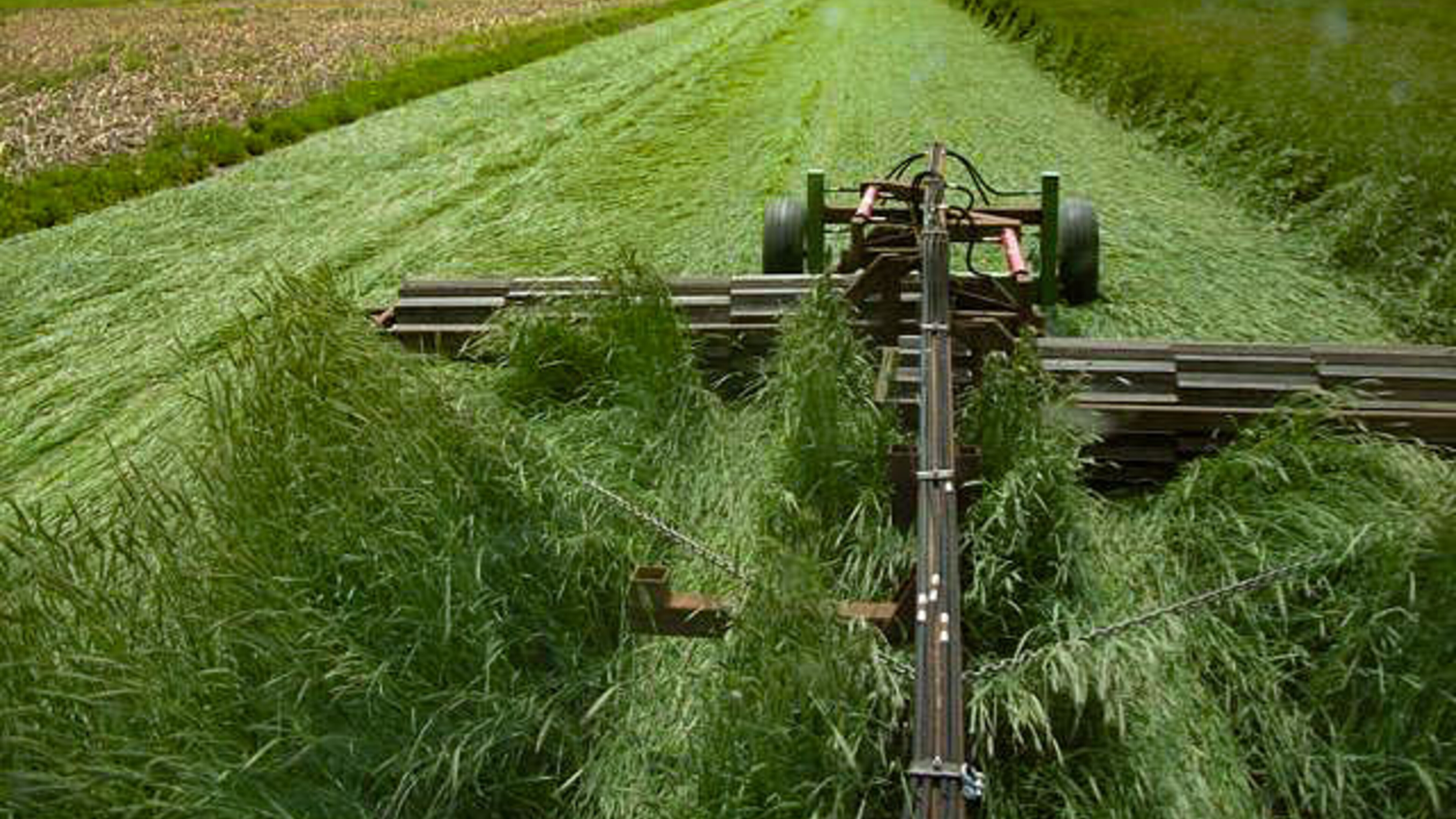 Farmers Invited to Attend Roller Crimper Workshop June 5 | CropWatch ...