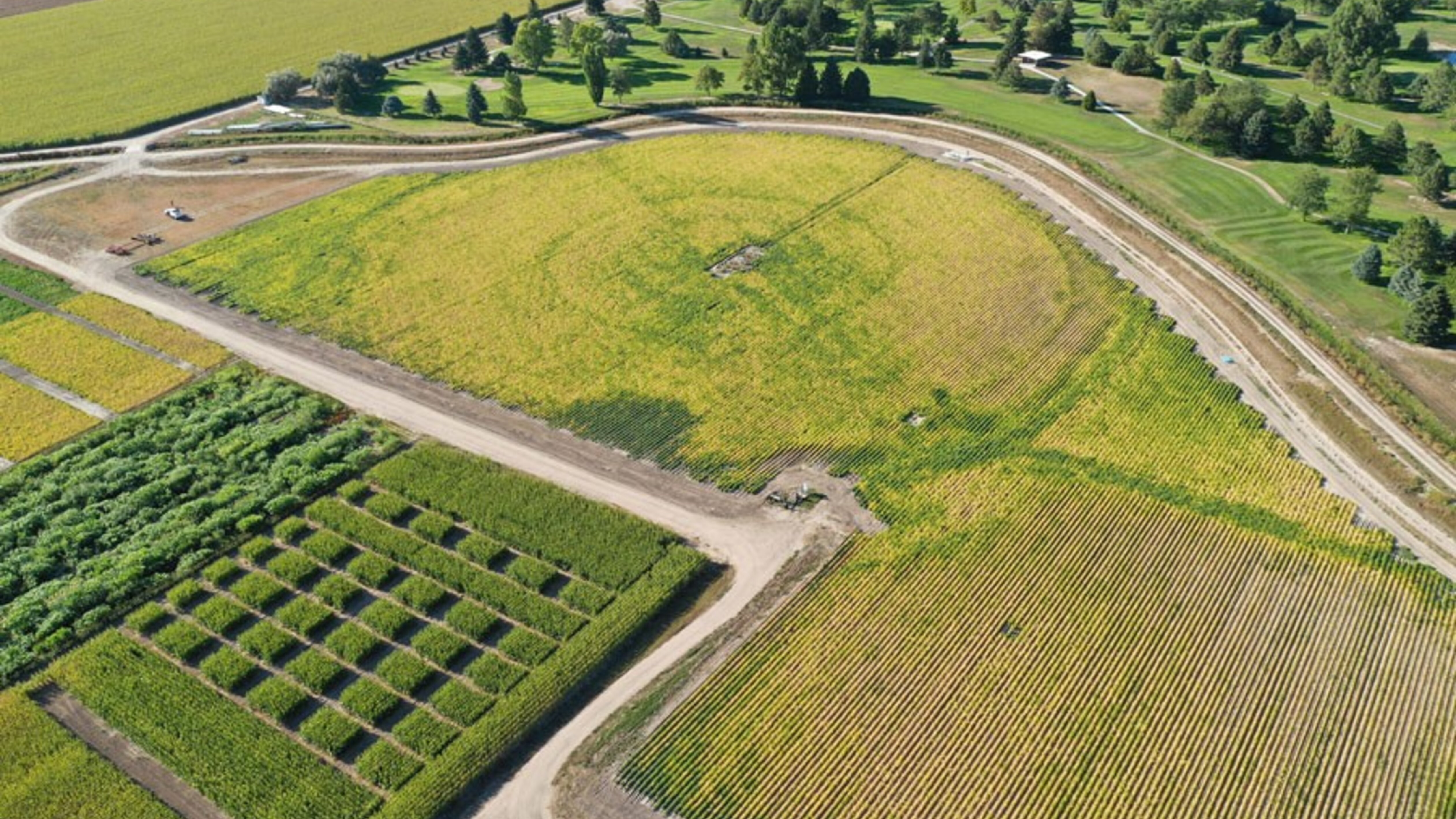 Subsurface Drip Irrigation Being Tested at Panhandle Center | CropWatch ...