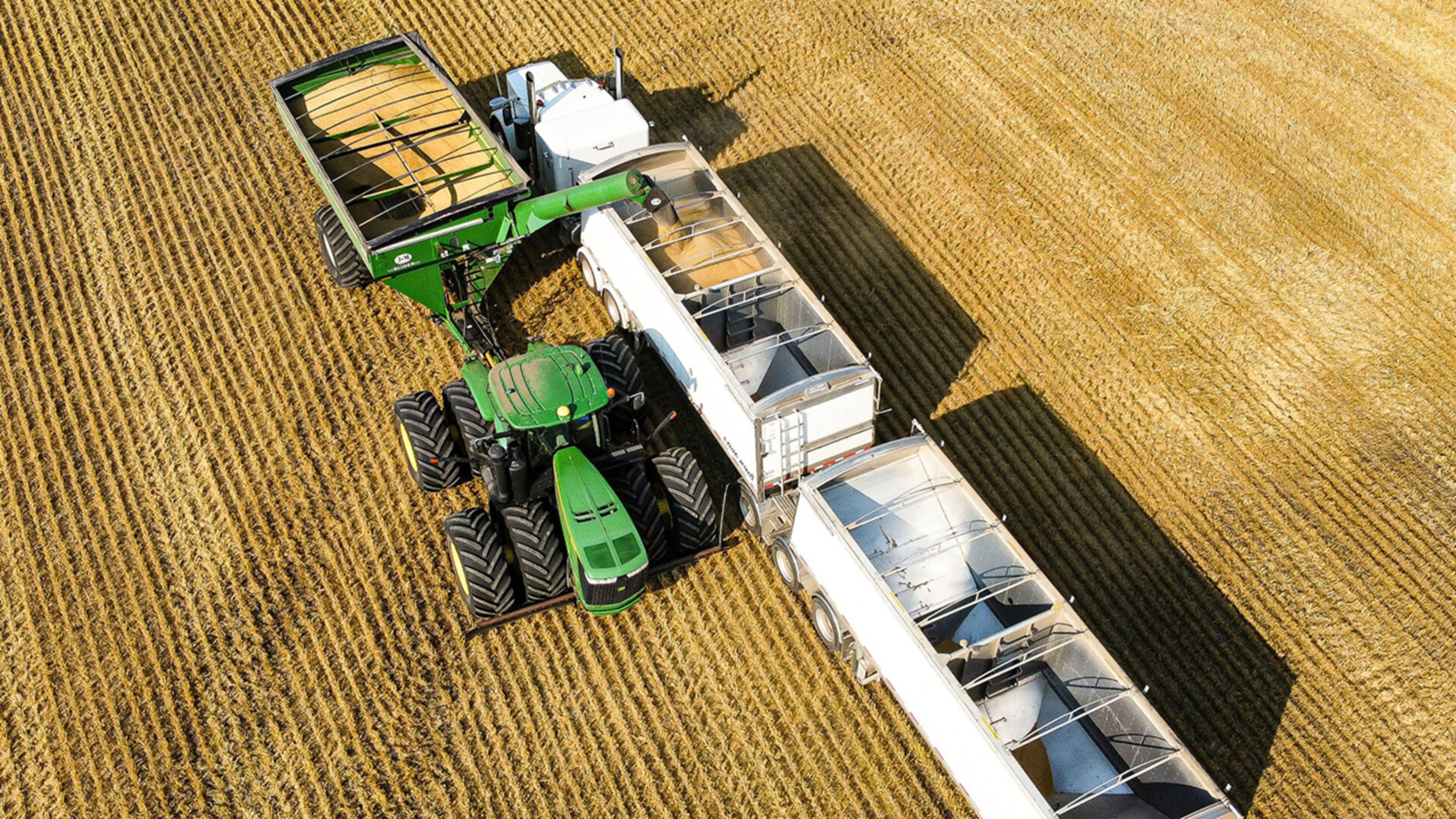 Considerations for Leasing: Cash Rent vs. Crop Share | CropWatch | Nebraska