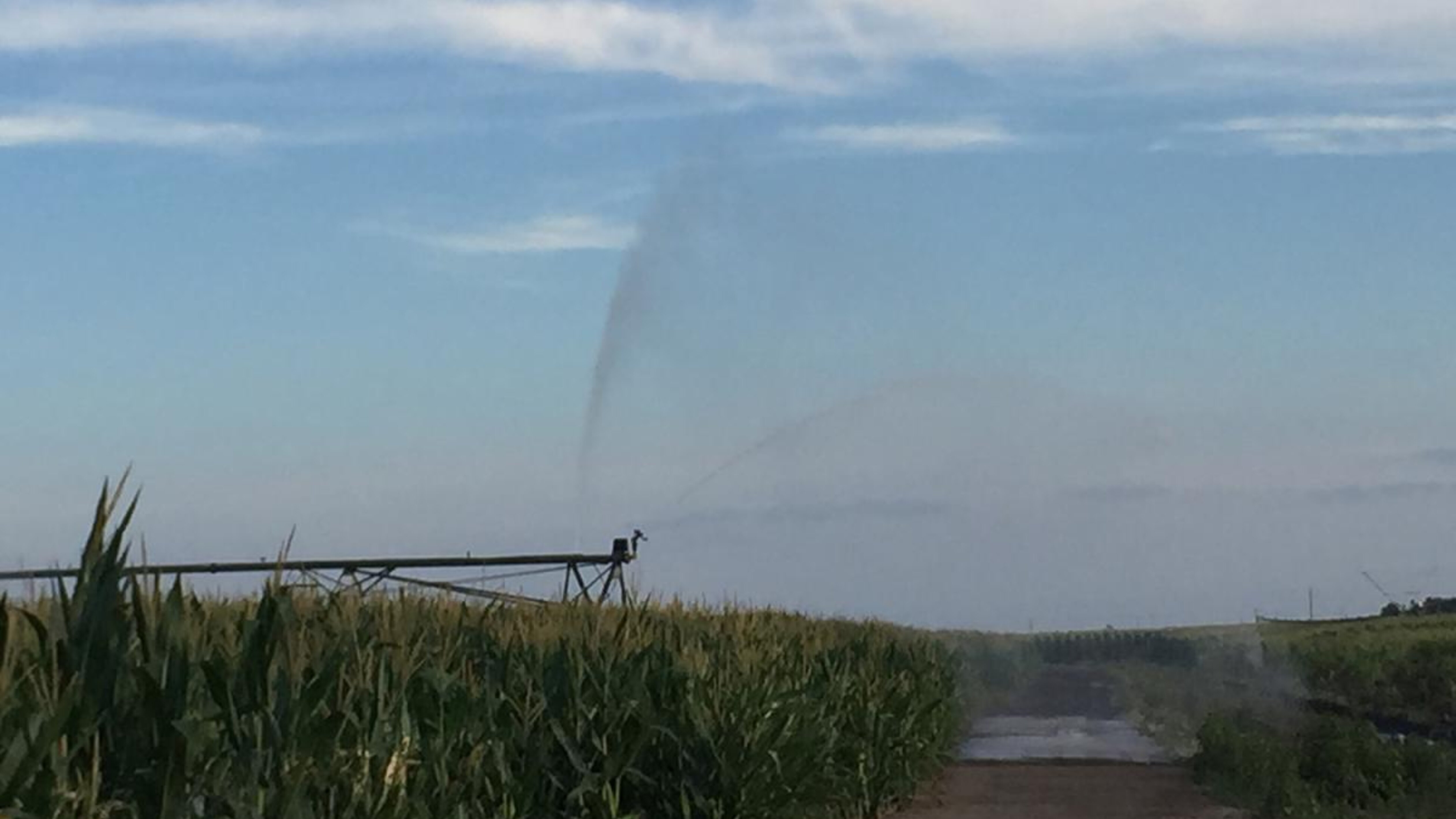 Now's a Great Time to Evaluate Your Irrigation System | CropWatch ...