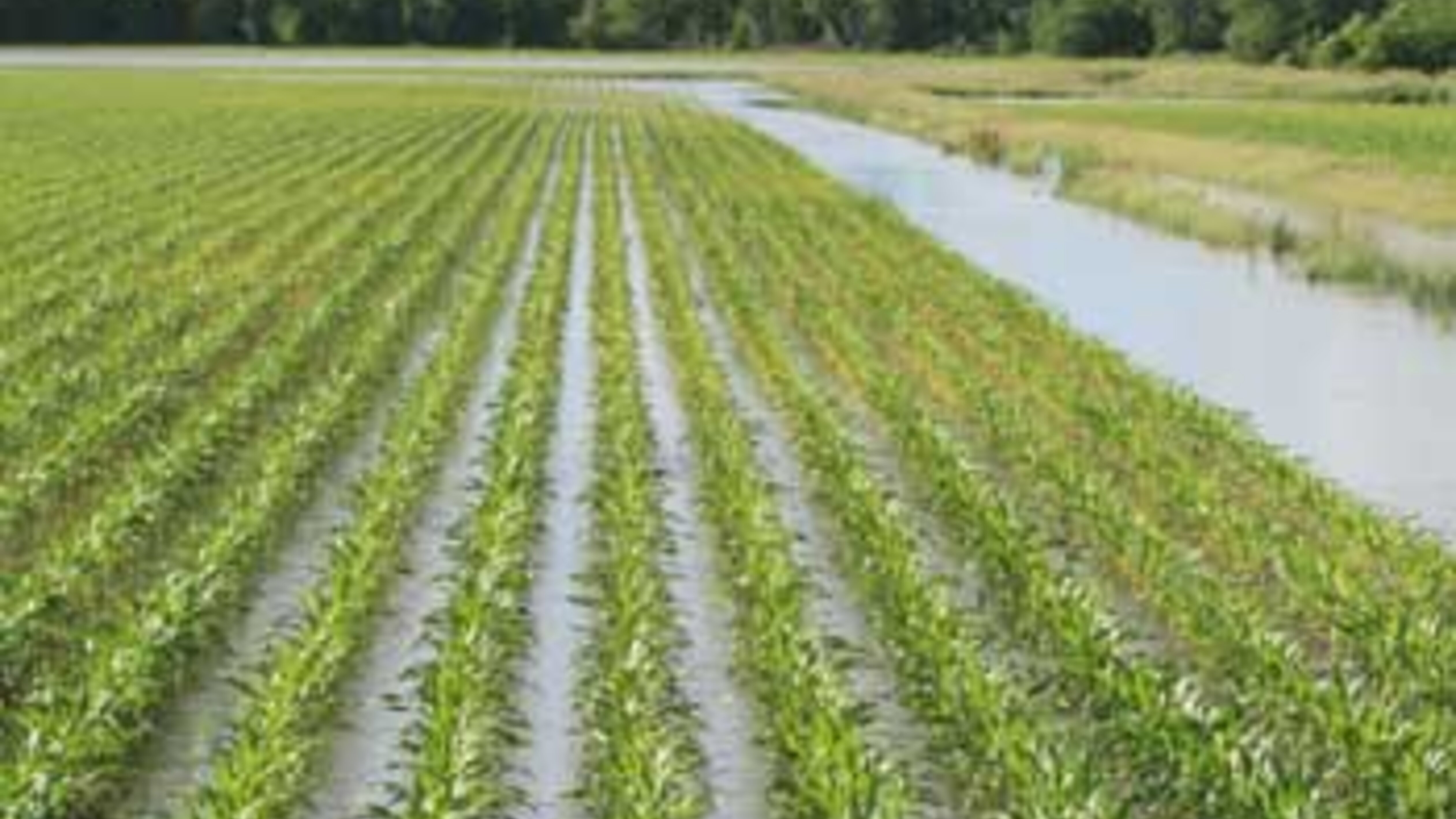 Potential Impact on Crops from Changes in Spring Climate Trends | CropWatch | Nebraska