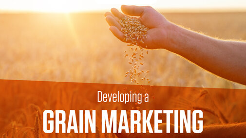 Developing a Grain Marketing Plan in 5 Easy Steps | CropWatch | Nebraska