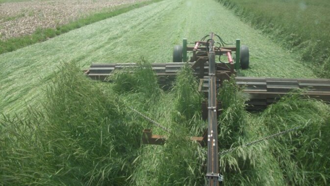 A Roller-Crimper for Cover Crop Termination and Weed Suppression ...
