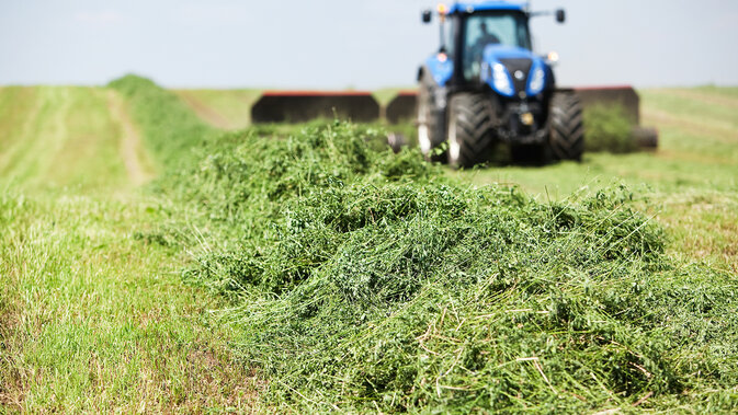 Three Steps to Hasten Hay Dry-Down | CropWatch | Nebraska