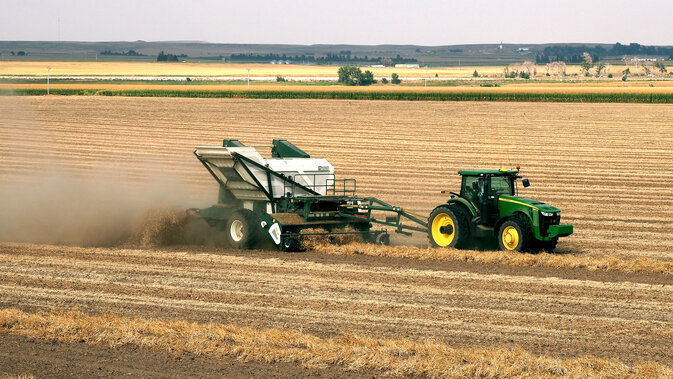 Dry Beans | CropWatch | Nebraska