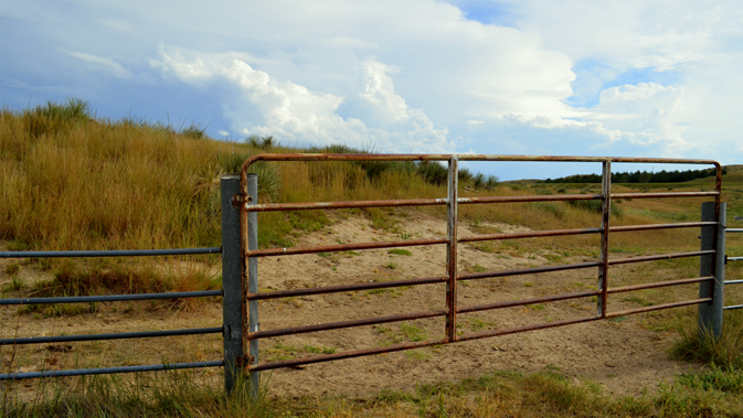Pasture and Forage Minute: Pasture Leasing Rates and Alfalfa Winter ...
