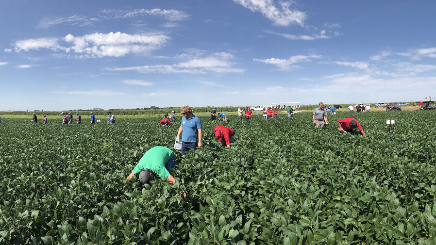 Soybean Fertility Study in Western Nebraska: What is Limiting High ...