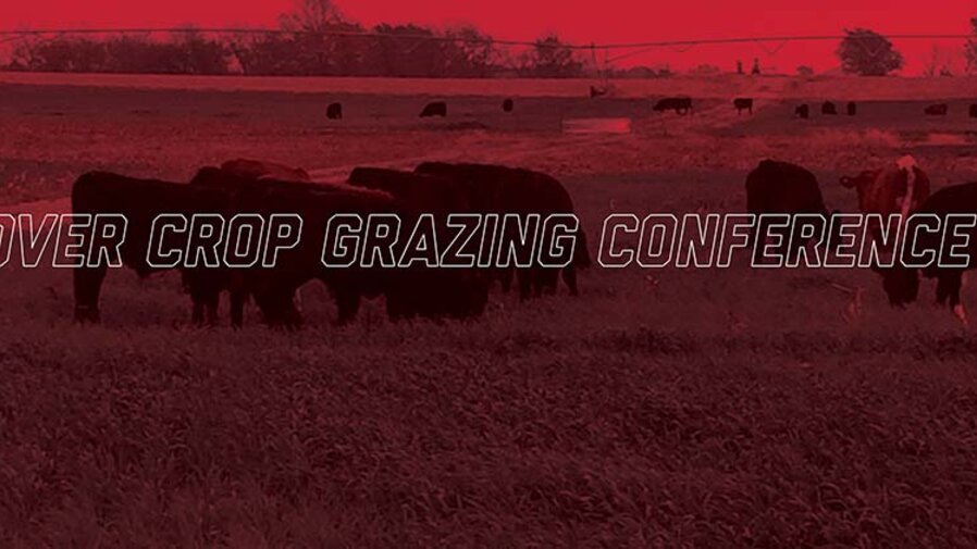 Nebraska Extension Provides New Cover Crop Grazing Conference Nov. 16 ... Nebraska Extension Provides New Cover Crop Grazing Conference Nov. 16 ...