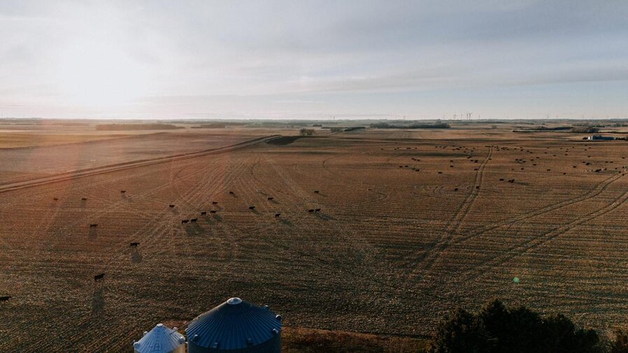 The Basics of Loans for Farmers and Ranchers | CropWatch | Nebraska