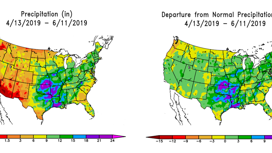 Longer Term Forecasts for More Moisture in the Corn Belt | CropWatch ...