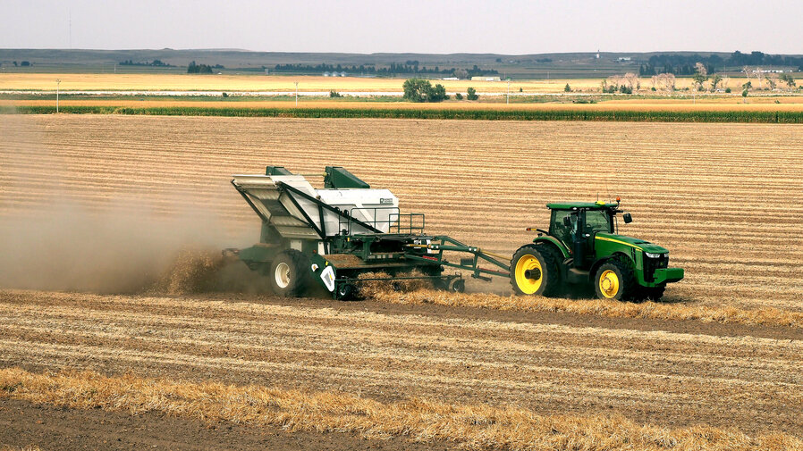 Dry Beans | CropWatch | Nebraska