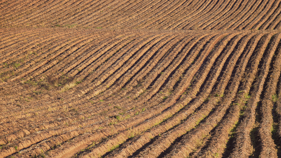 Tillage and No-Till Systems | CropWatch | Nebraska