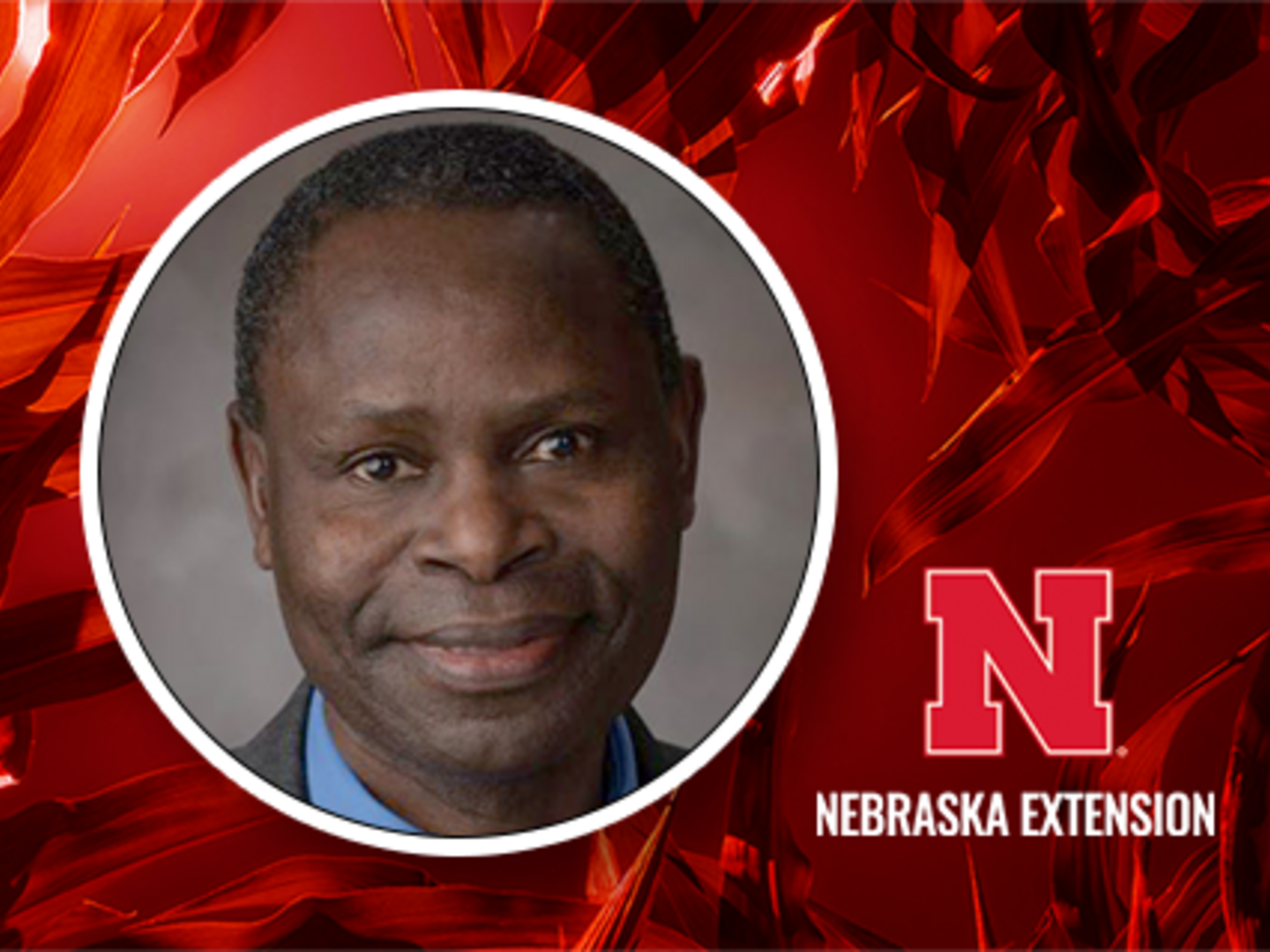 Wheat Disease Management | CropWatch | Nebraska