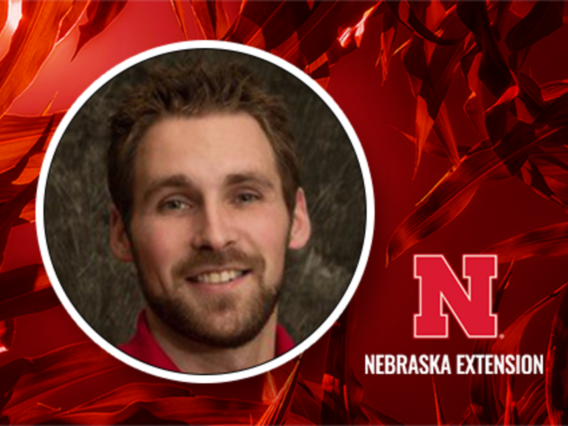 Alfalfa Insect Pests | CropWatch | Nebraska