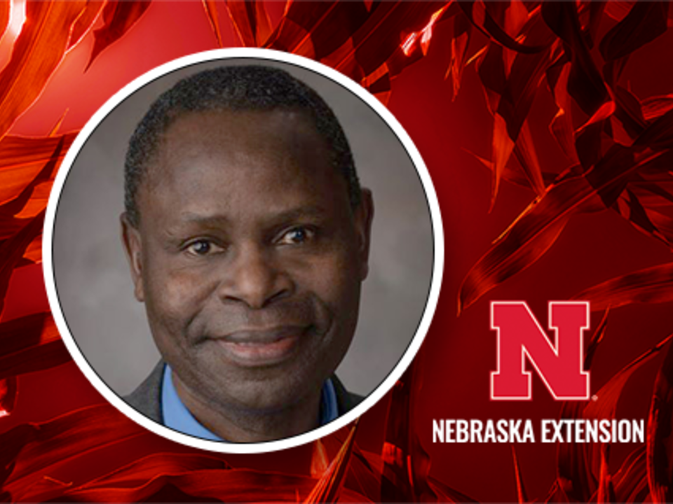 Wheat Disease Management | CropWatch | Nebraska