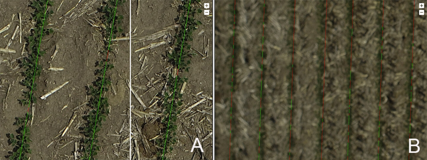 Evaluation of Digital Ag Tools on Soybean Stand Count | CropWatch ...