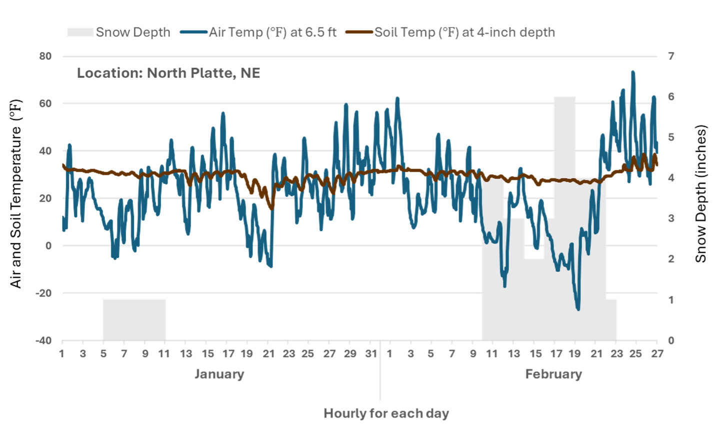 How Have Winter Temperatures Affected Insect Overwintering in Nebraska ...