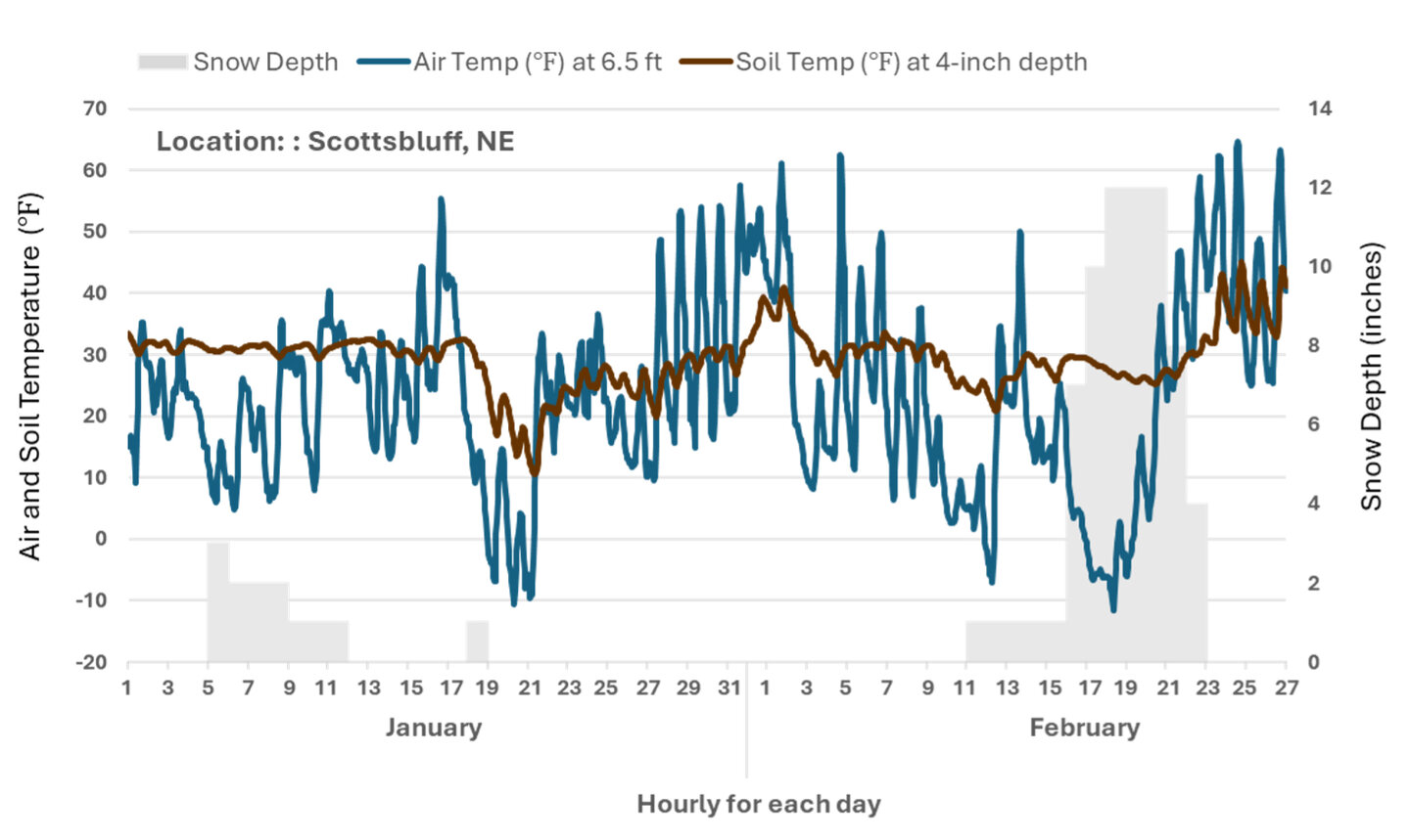 How Have Winter Temperatures Affected Insect Overwintering in Nebraska ...