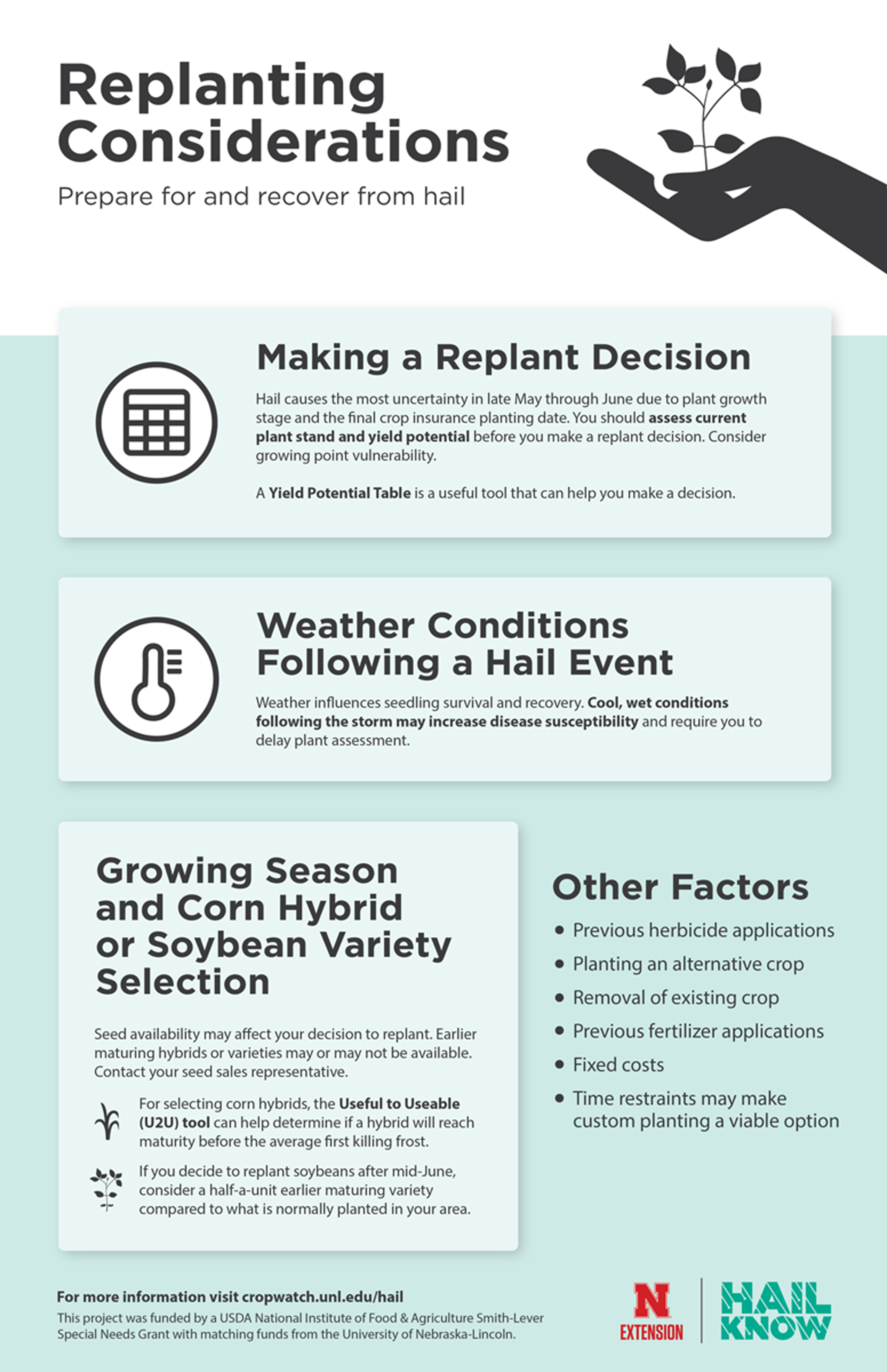 Infographic: Replanting Considerations | CropWatch | Nebraska