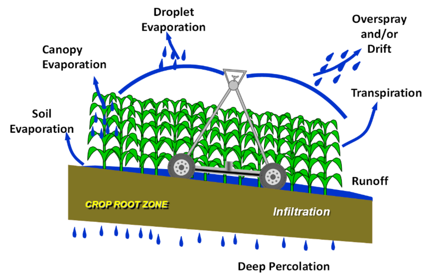 In-Canopy vs. Above-Canopy Sprinklers: Which is Better Suited to Your ...