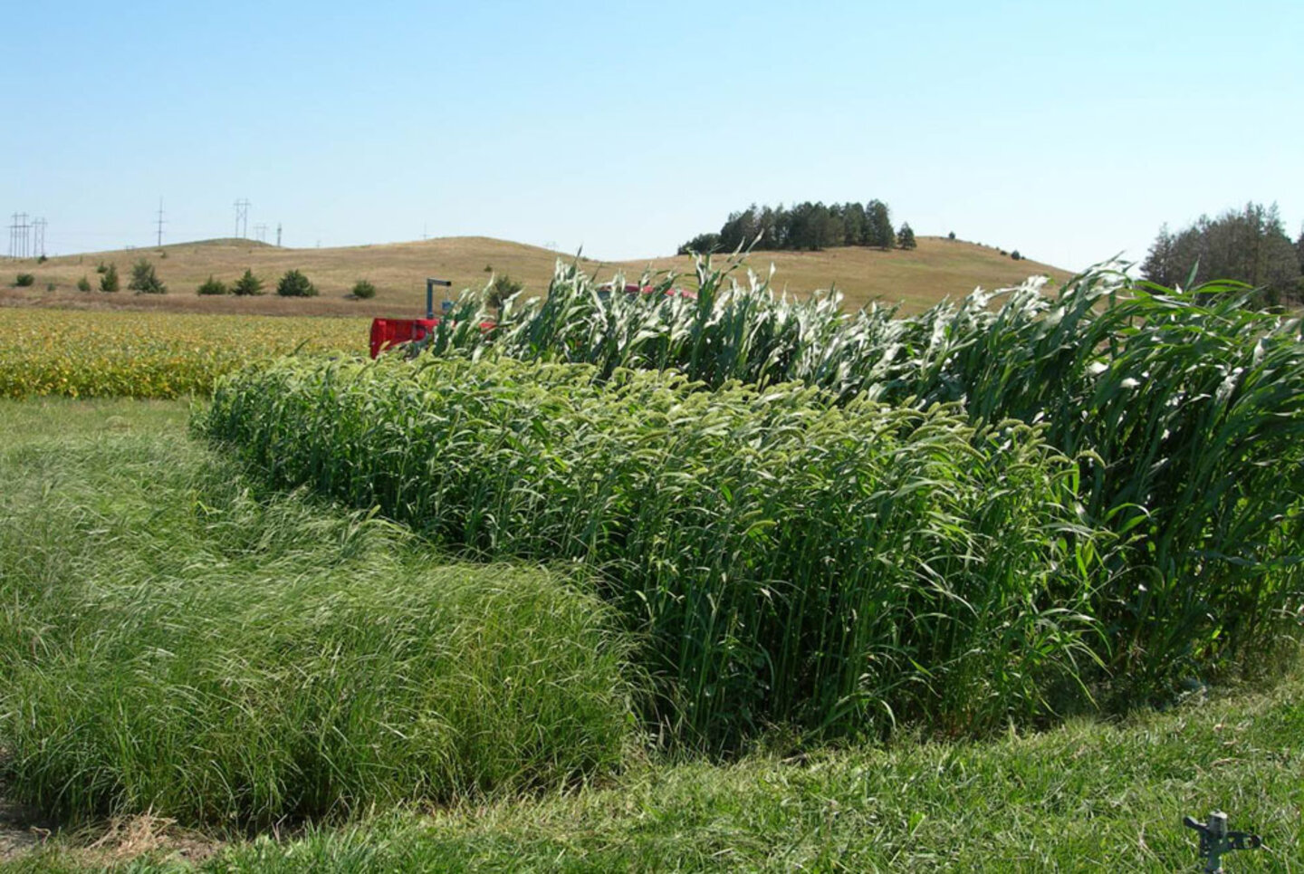 Seeding Forages into Wheat Stubble | CropWatch | Nebraska