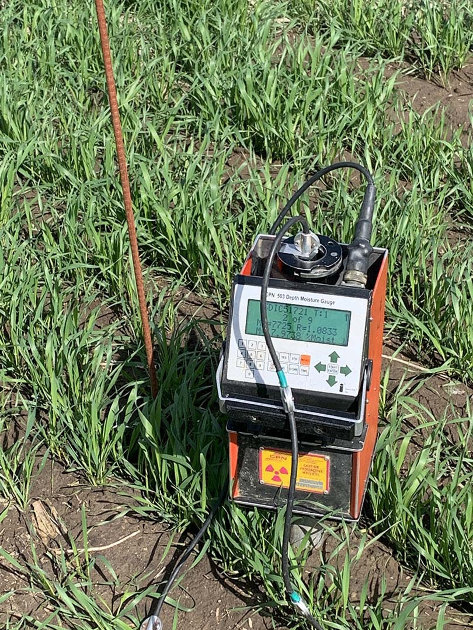 Hard Red Spring Wheat Water Use | CropWatch | Nebraska