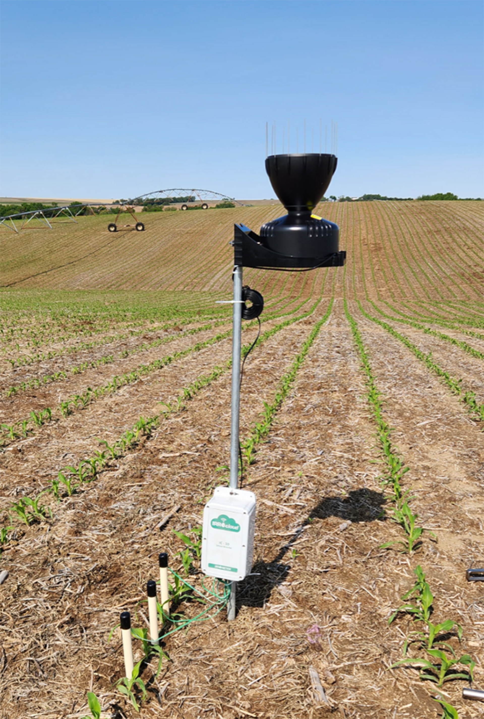 Weekly Irrigation Newsletter: Using Soil Water Tension Sensors to ...
