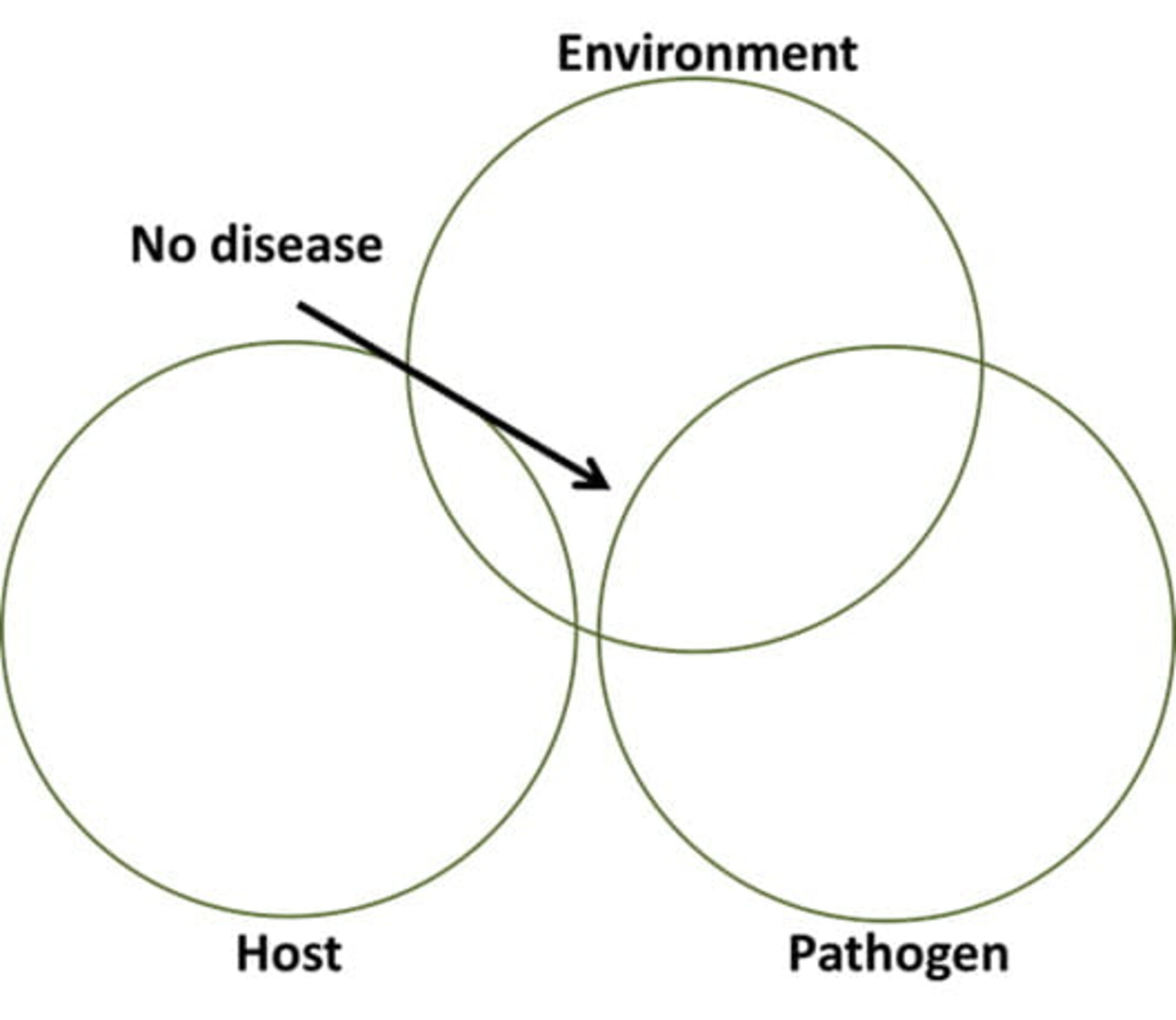 Plant Disease: Pathogens and Cycles | CropWatch | Nebraska