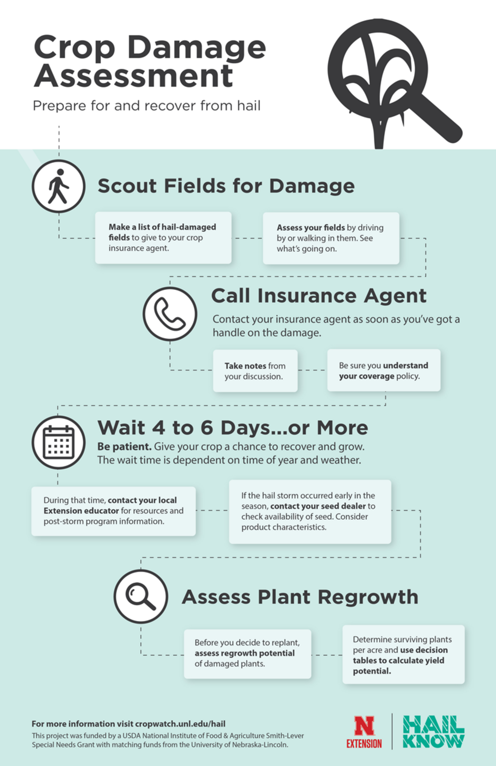 Infographic: Crop Damage Assessment | CropWatch | Nebraska