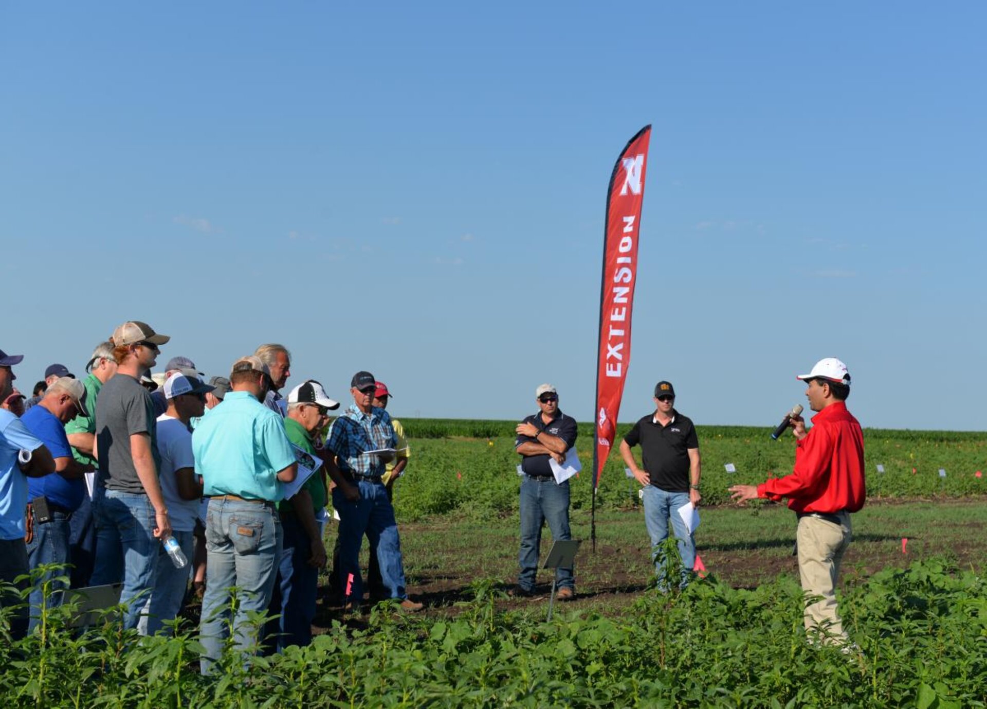 Weed Management and Cover Crop Field Day at SCAL | CropWatch | Nebraska
