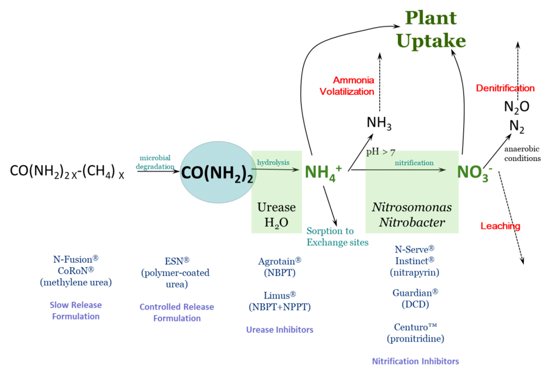 Nitrogen Inhibitors for Improved Fertilizer Use Efficiency | CropWatch ...