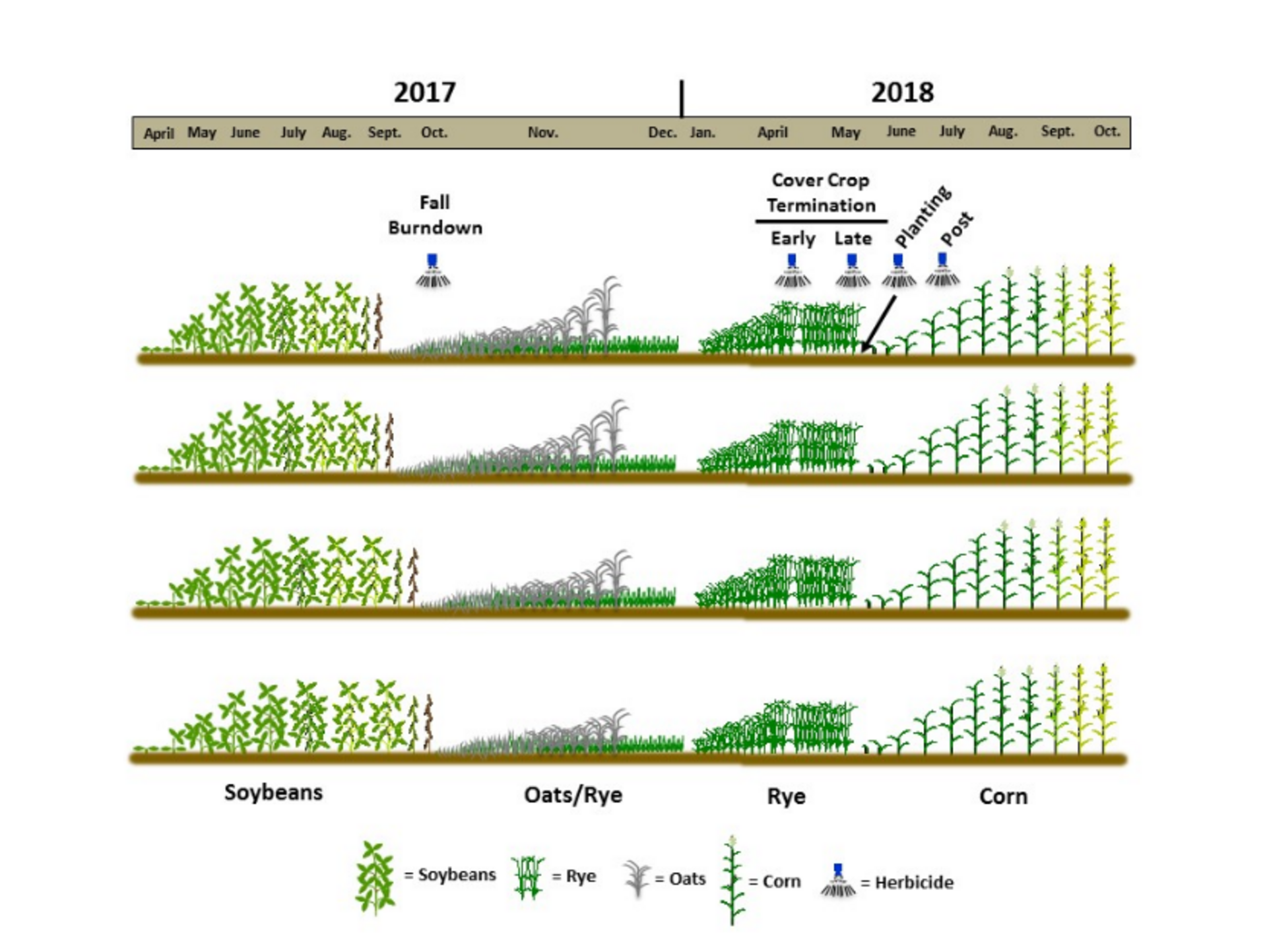 Using Cover Crops as a Weed Management Tool for Managing Herbicide ...