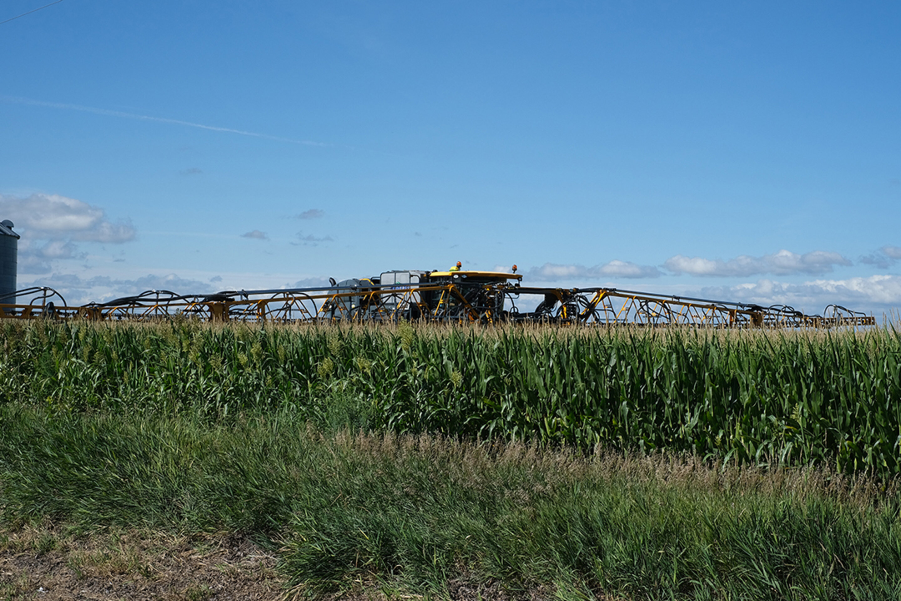 Comparing Cover Crop Planting Methods | CropWatch | Nebraska