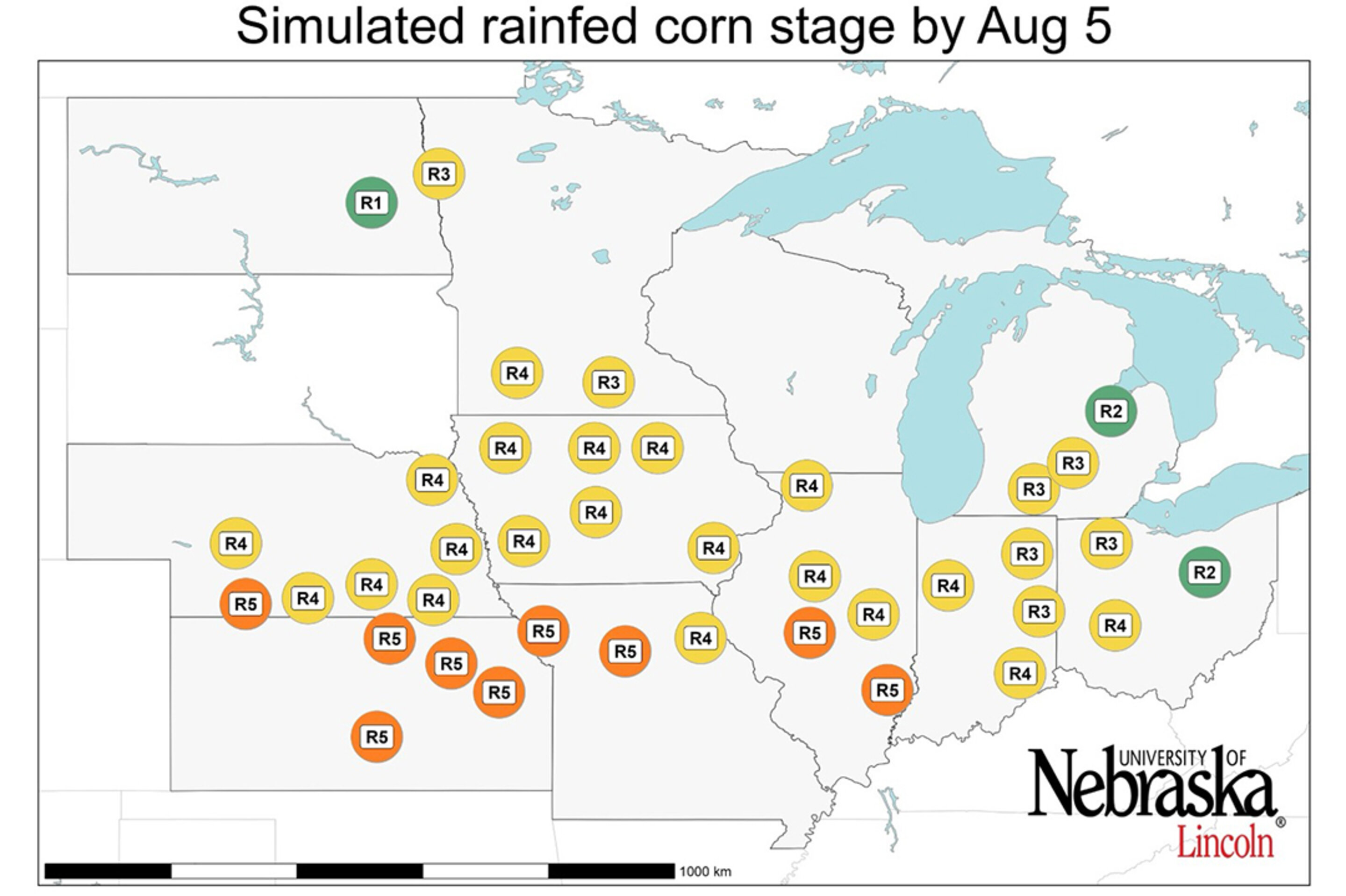 2025 Corn Yield Forecasts as of Aug. 5 | CropWatch | Nebraska