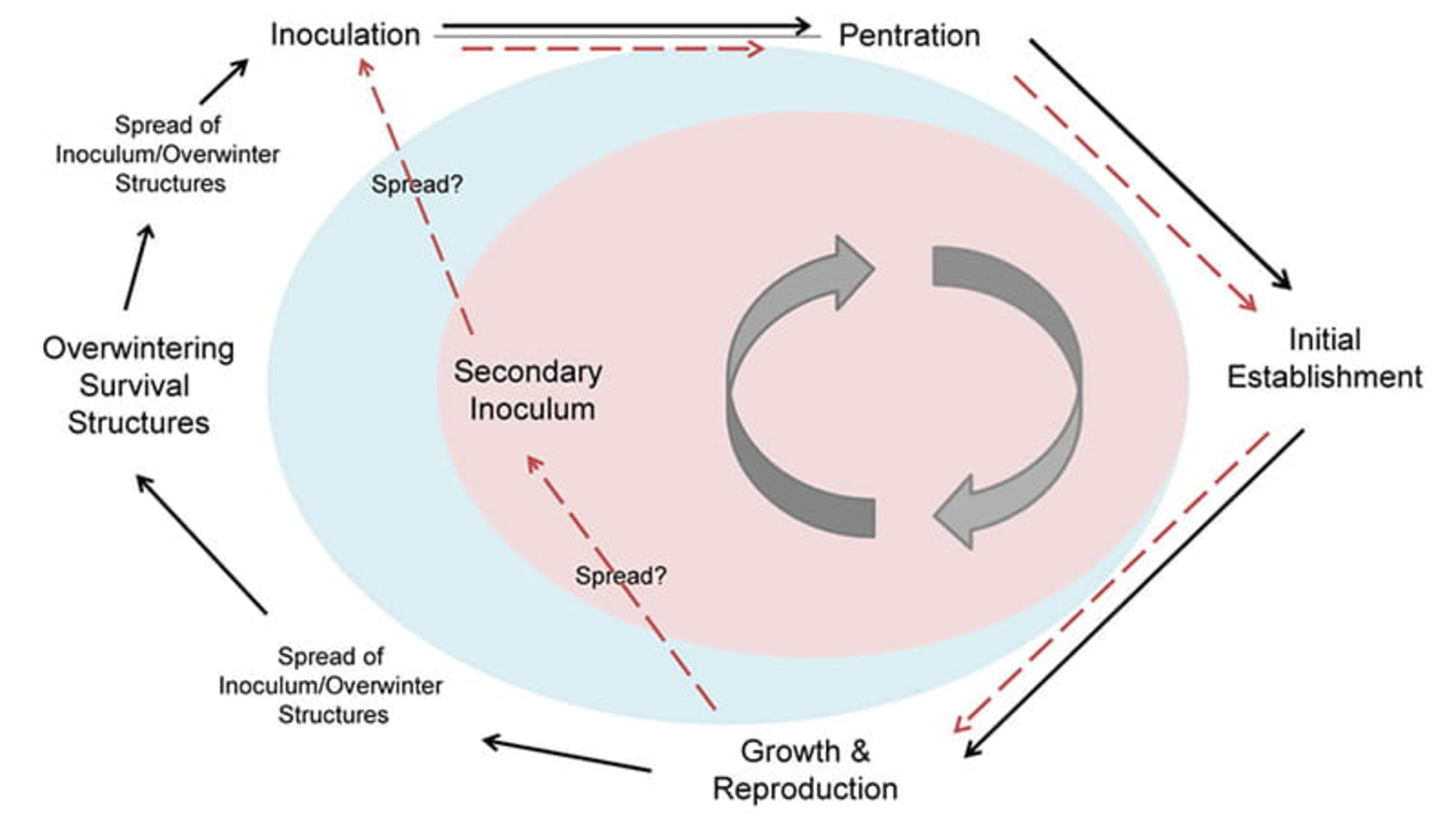 Plant Disease: Pathogens and Cycles | CropWatch | Nebraska
