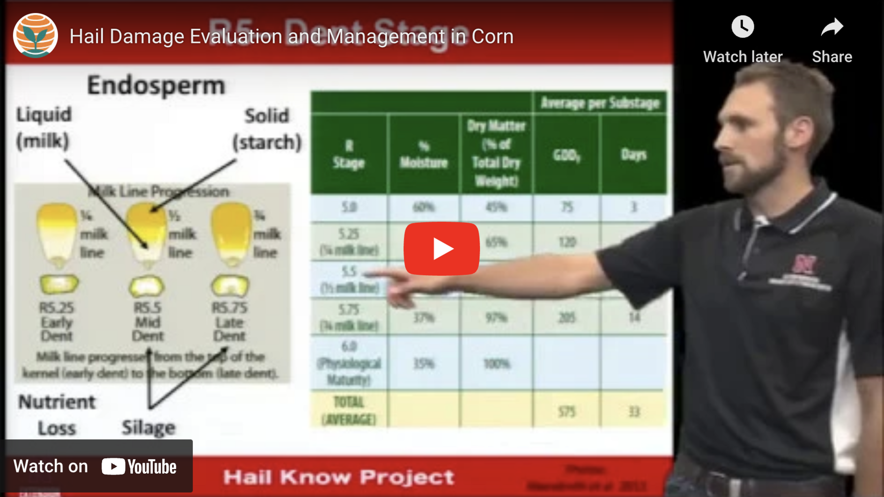 Video: Hail Damage Evaluation and Management in Corn | CropWatch | Nebraska