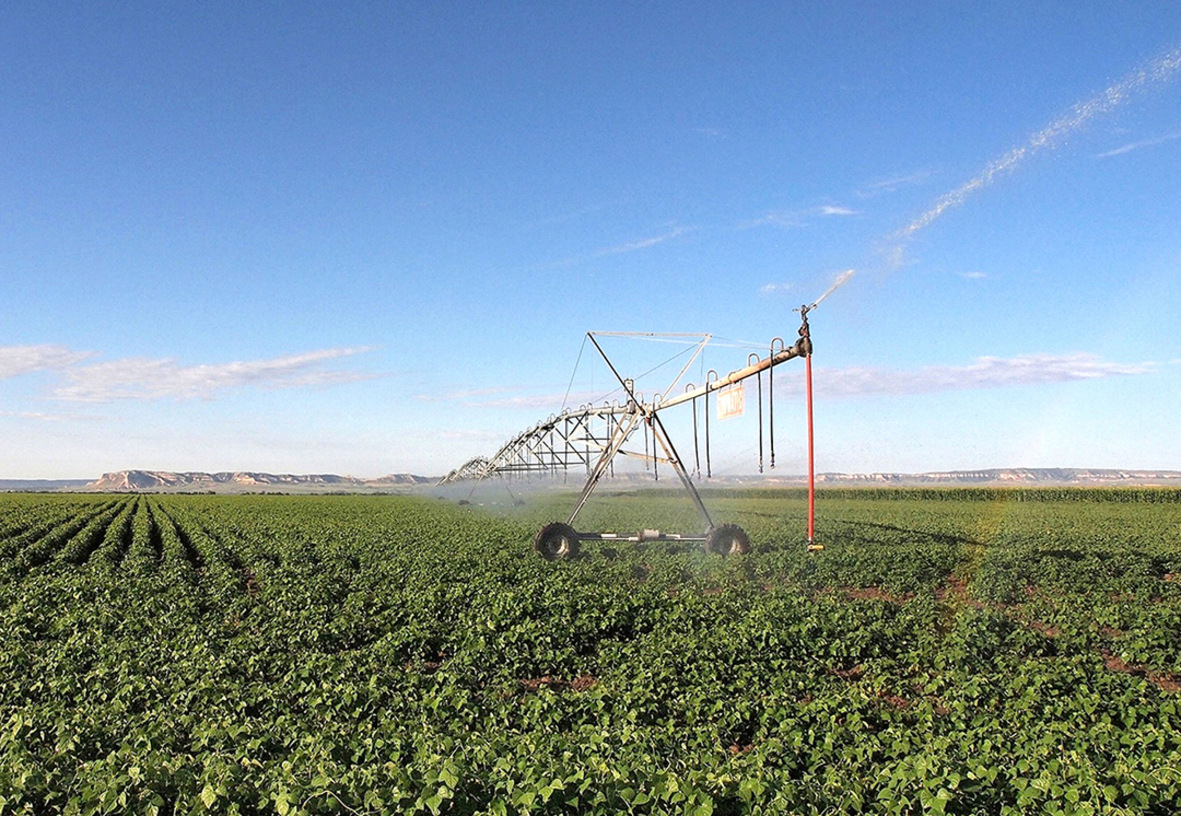 Center Pivots: Innovation That Grew Crops and Acres in Nebraska | CropWatch | Nebraska
