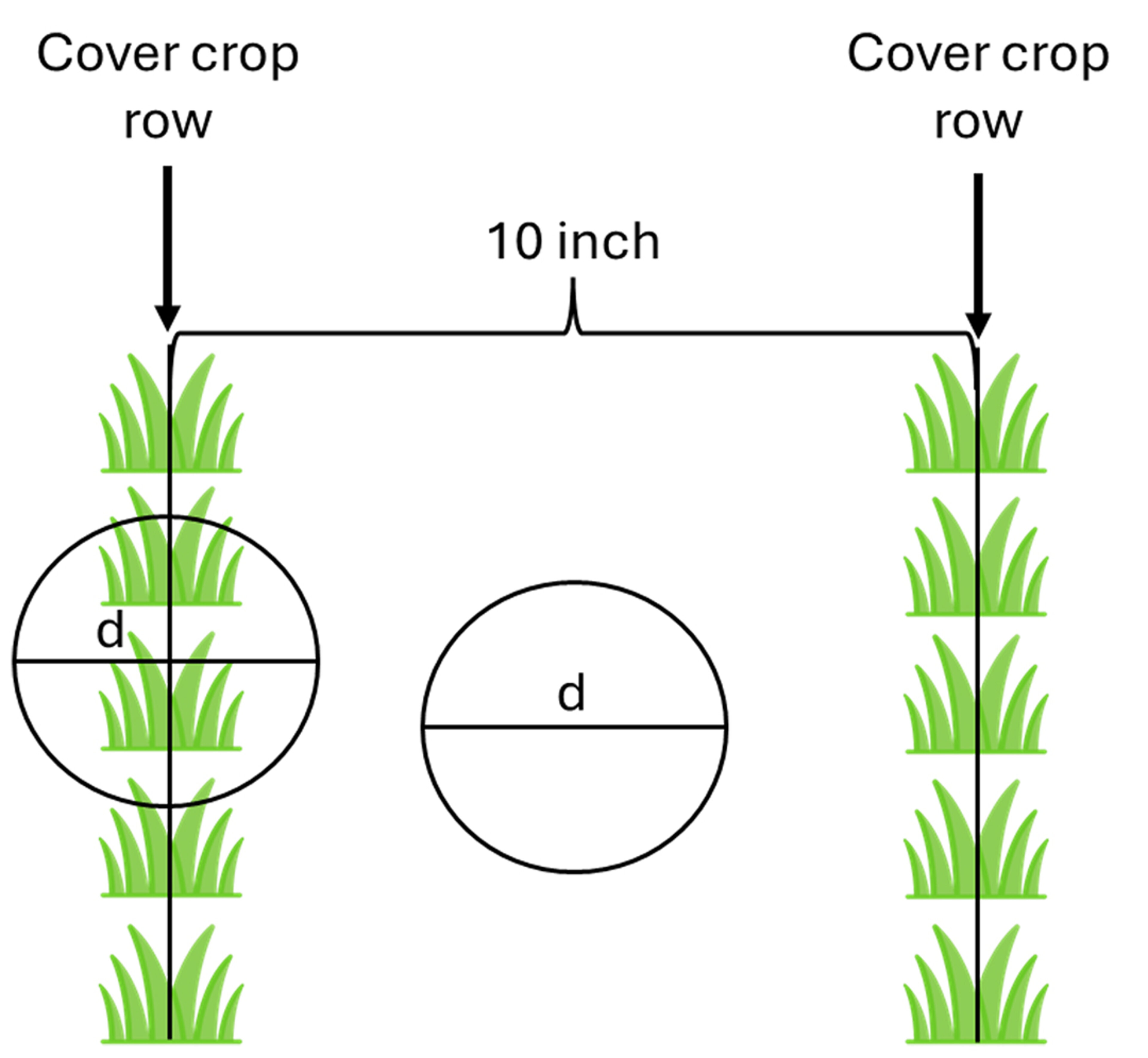 Root Biomass of Fall-planted Cover Crops in Northeast Nebraska ...