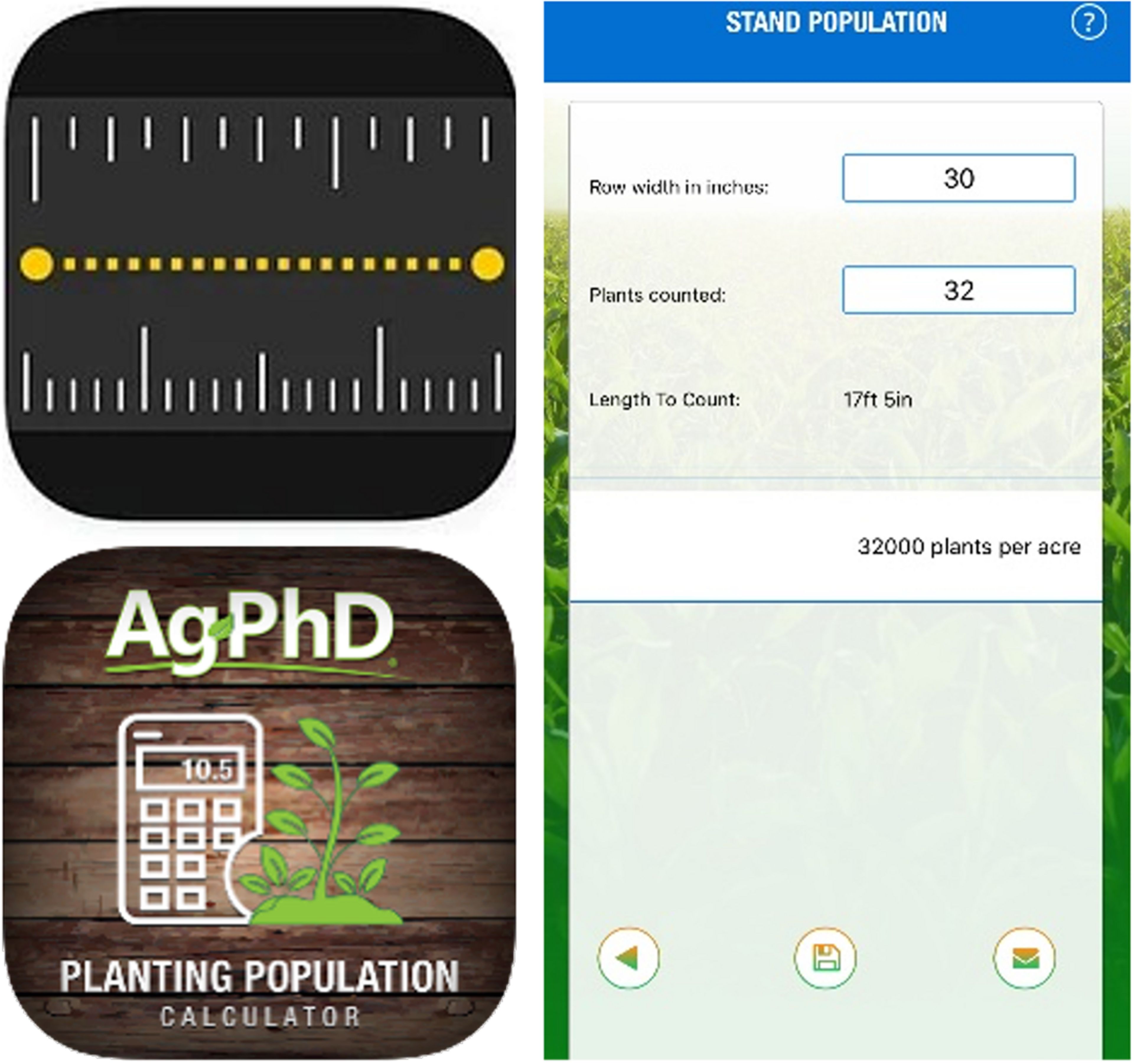Timely Field Stand Counts | CropWatch | Nebraska
