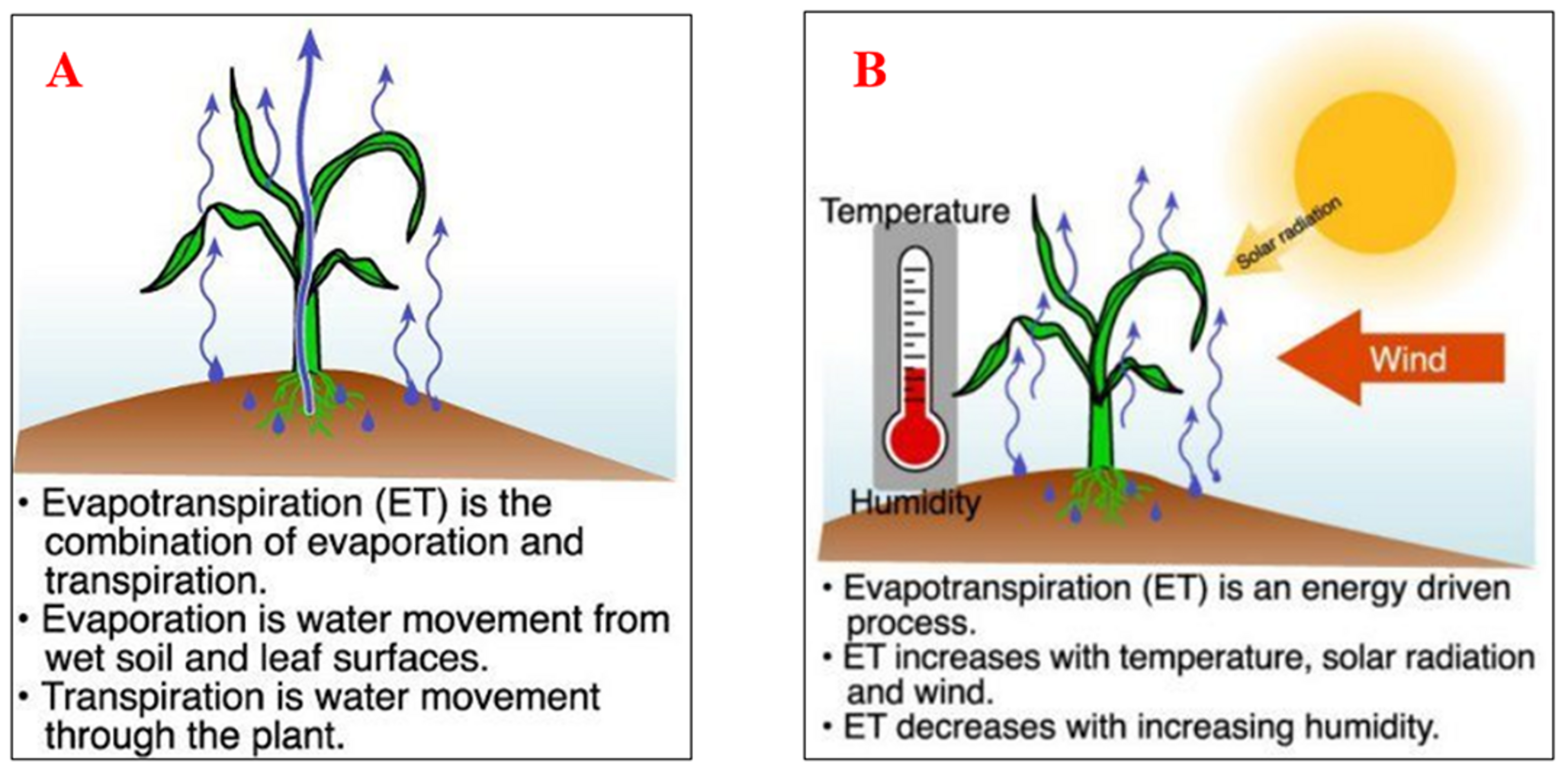 How is Crop ET Used for Irrigation Decisions? | CropWatch | Nebraska