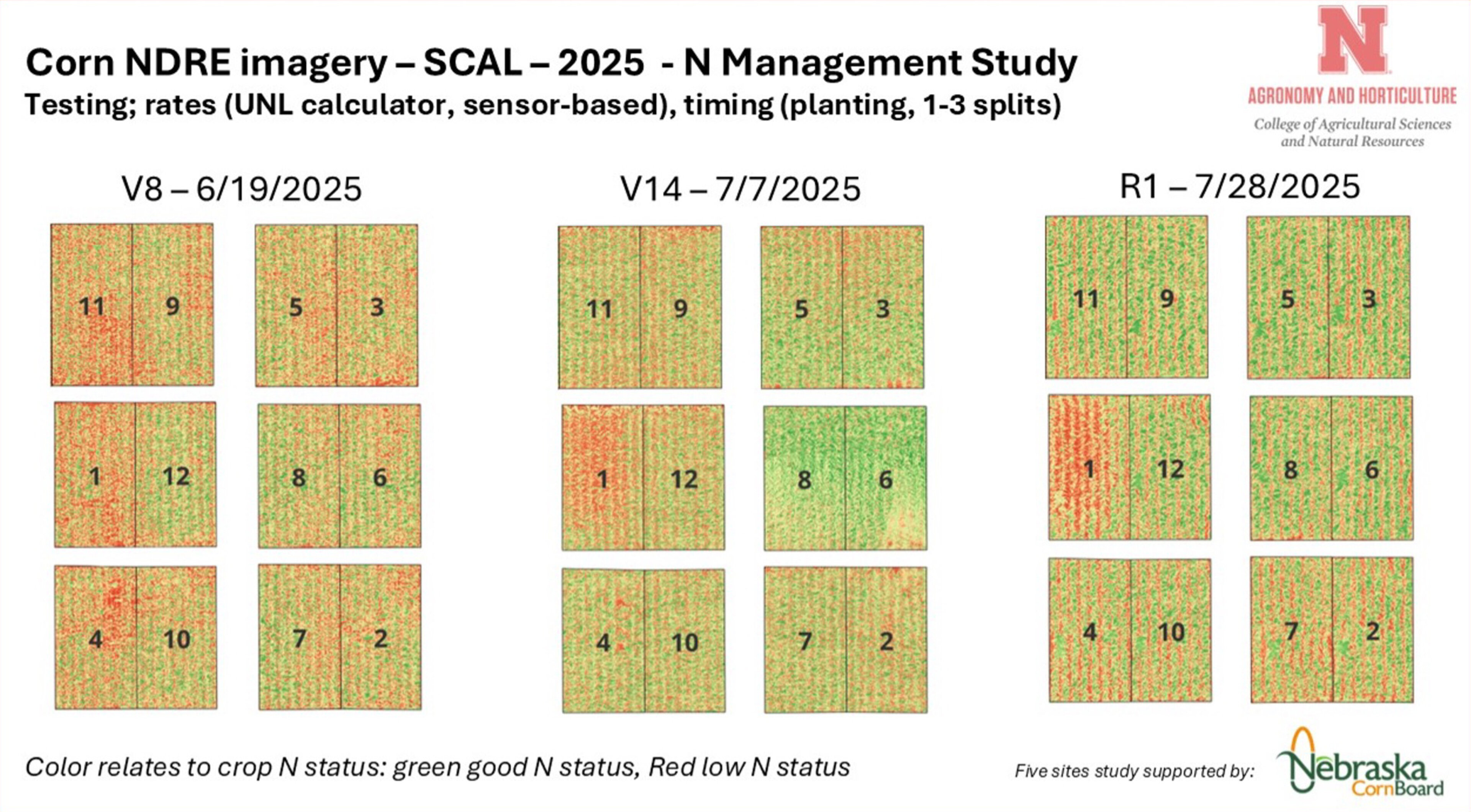 Nitrogen for Corn: Using Precision Agriculture and Sensor Technologies ...