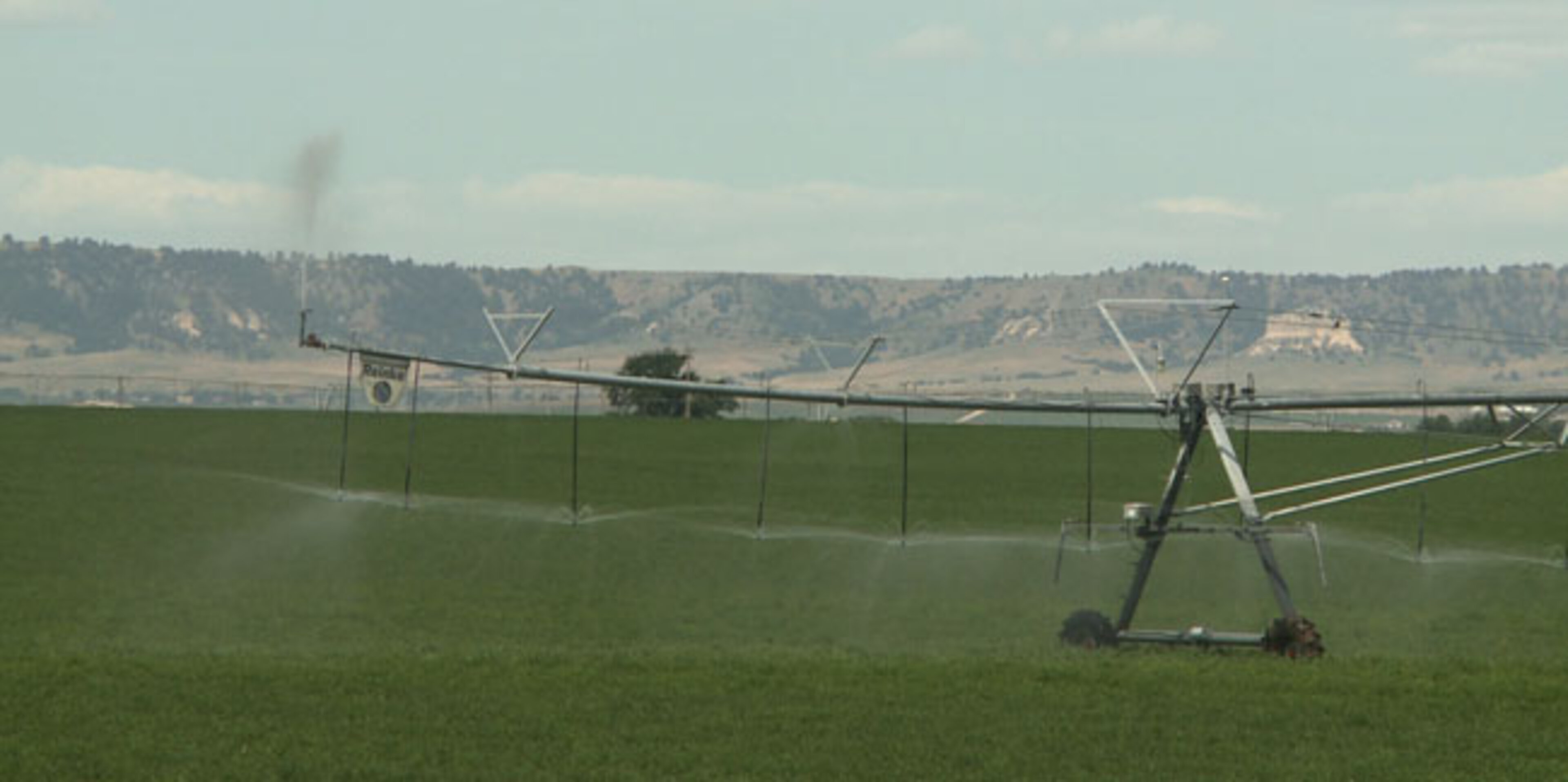 4 Steps to Ensuring Forage Stand Success | CropWatch | Nebraska