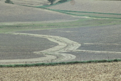 Causes And Treatments of Gully Erosion | CropWatch | Nebraska