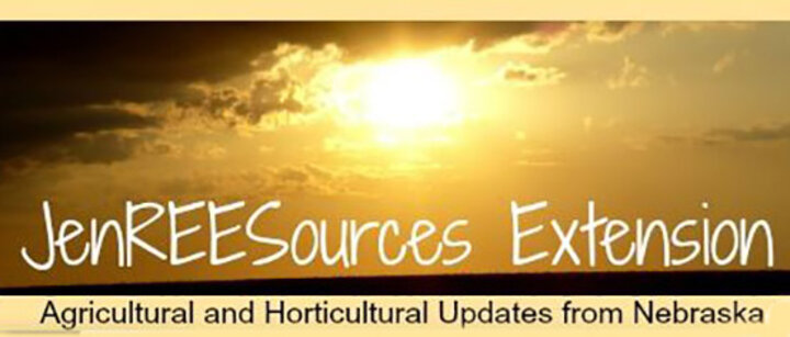 Nebraska Extension Crop Blogs | CropWatch | Nebraska