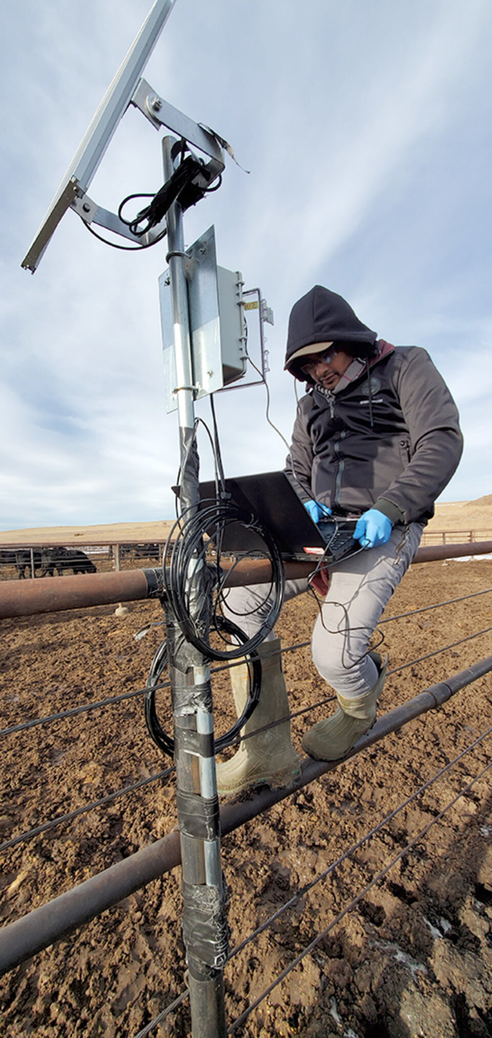 Coal Char Enhances Manure and Soil Management to Improve Crop ...