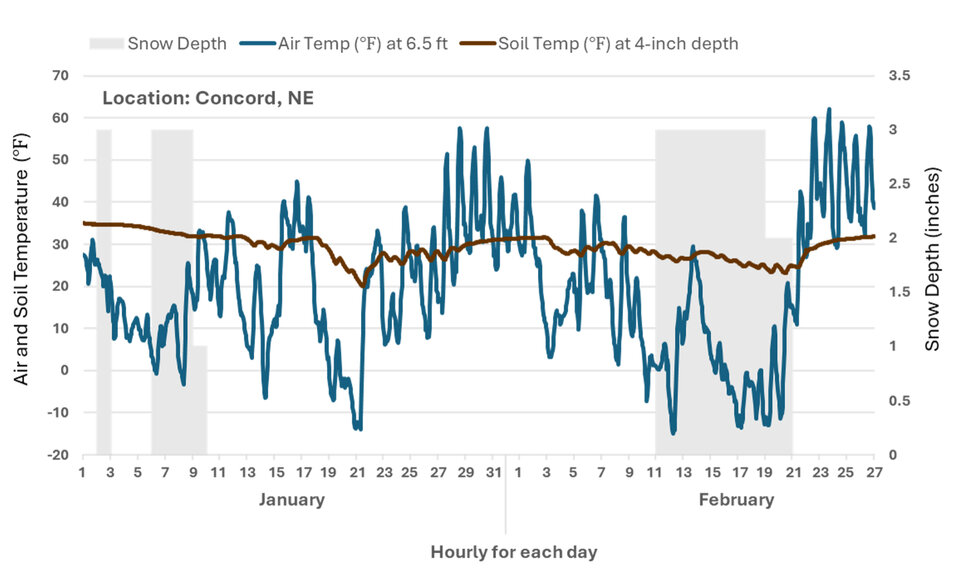 How Have Winter Temperatures Affected Insect Overwintering in Nebraska ...
